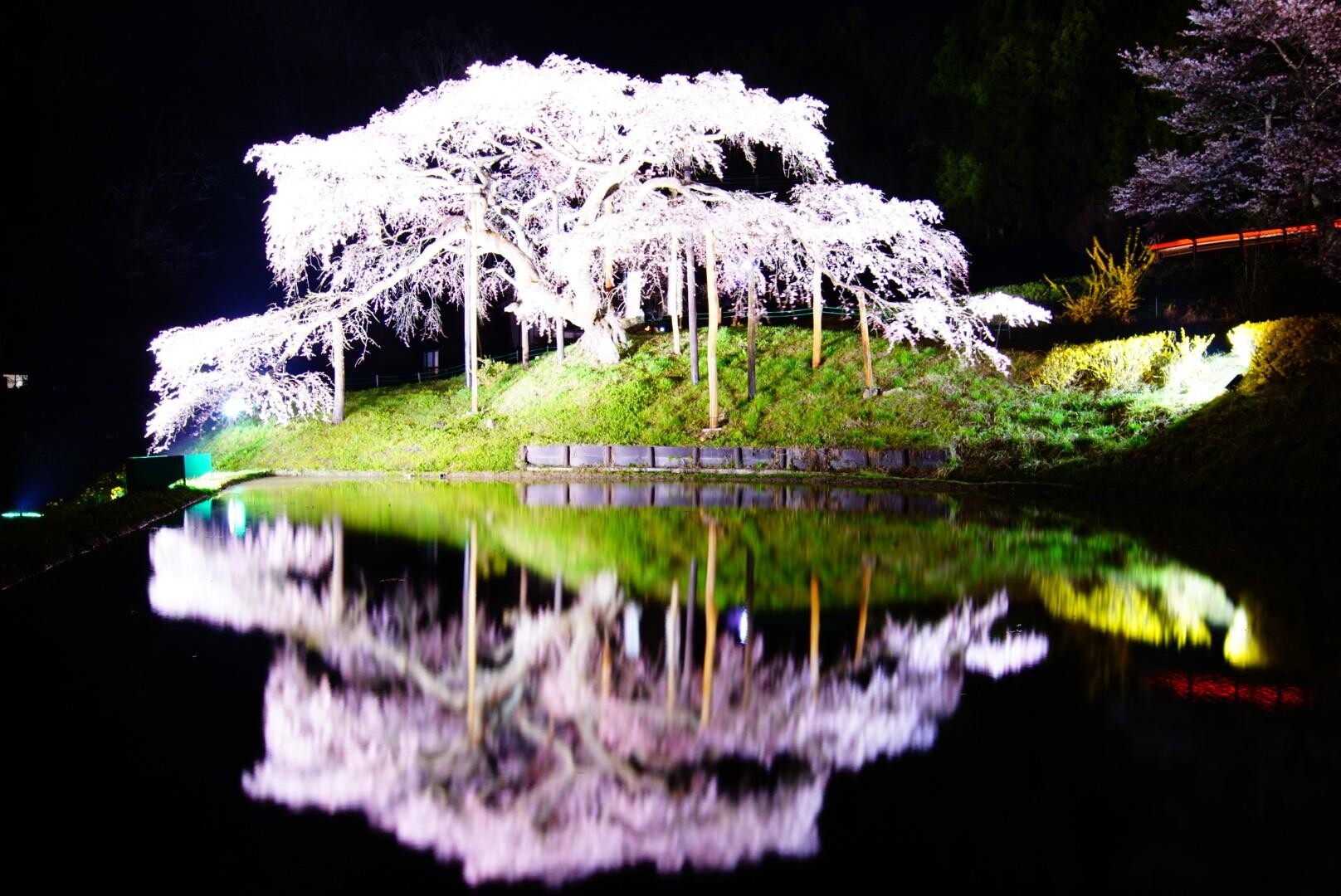 白河の南湖公園～石川町～二本松まで🌸🚗 / nakaちゃんさんのウォーキングの活動データ | YAMAP / ヤマップ