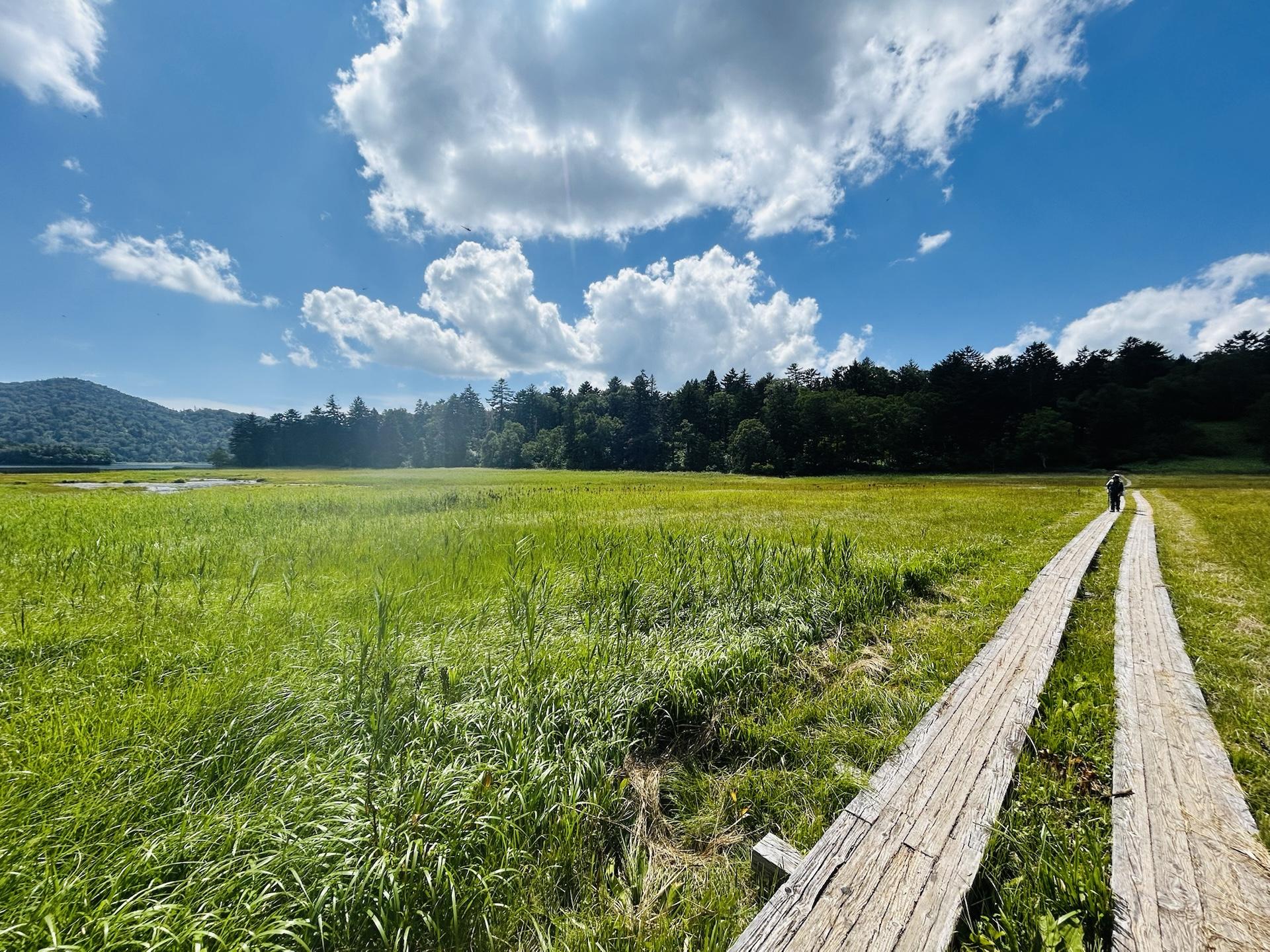 尾瀬・燧ヶ岳-2025-09-02 / m. hiroさんの尾瀬・燧ヶ岳の活動データ | YAMAP / ヤマップ