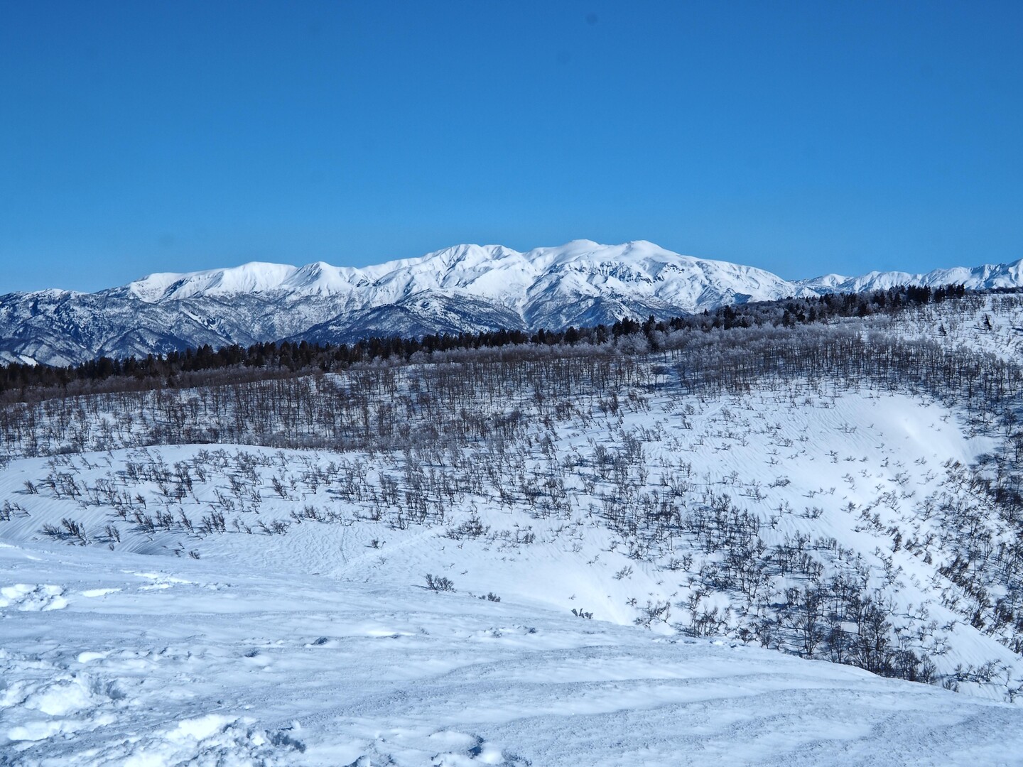 取立山 / ICHI JUNさんの取立山の活動データ | YAMAP / ヤマップ