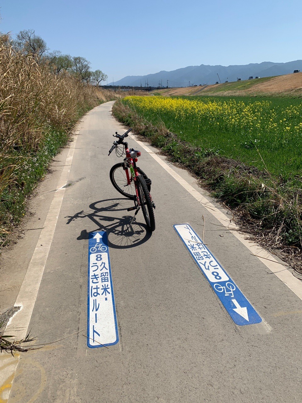 筑後川サイクリングロード / oniさんのサイクリングの活動データ | YAMAP / ヤマップ