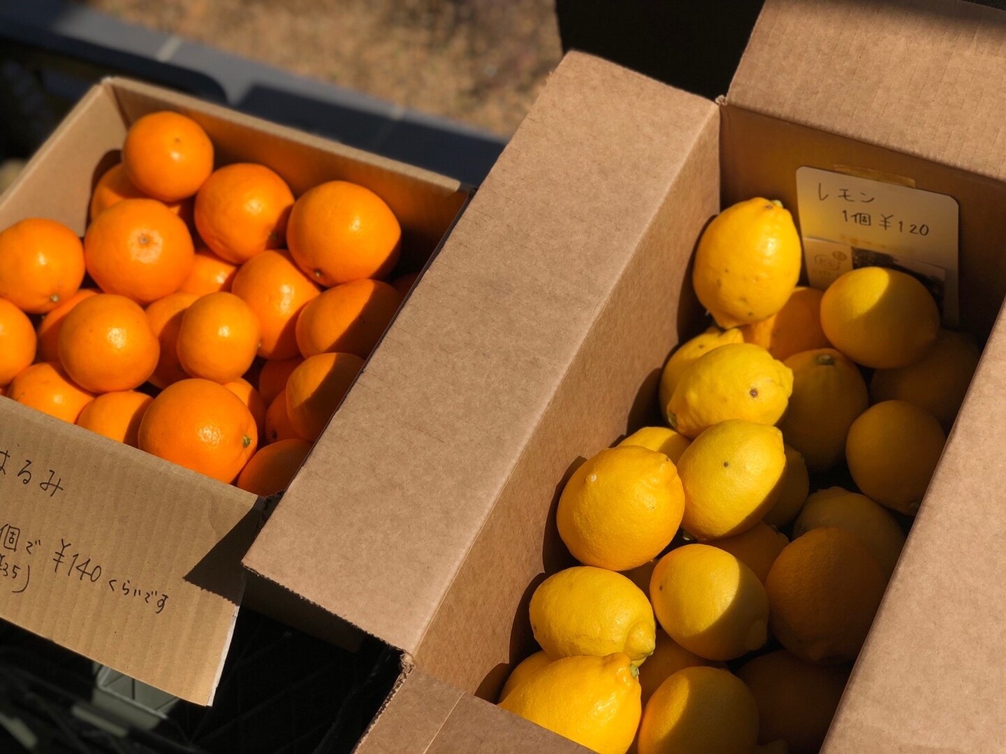 採銅所、HANさんにて。 / はるかかなたさんのモーメント | YAMAP / ヤマップ