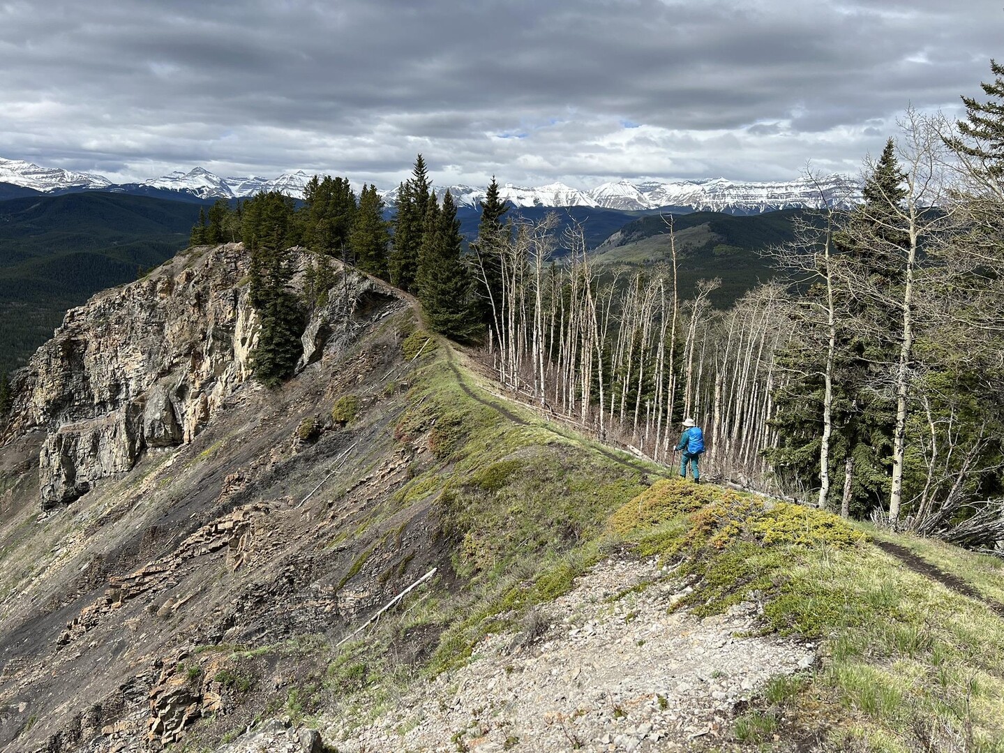 Foran Grade trail to Windy point ridge / くまちゃんさんのシープ・リバー・プロビンシャル・パークの活動 ...