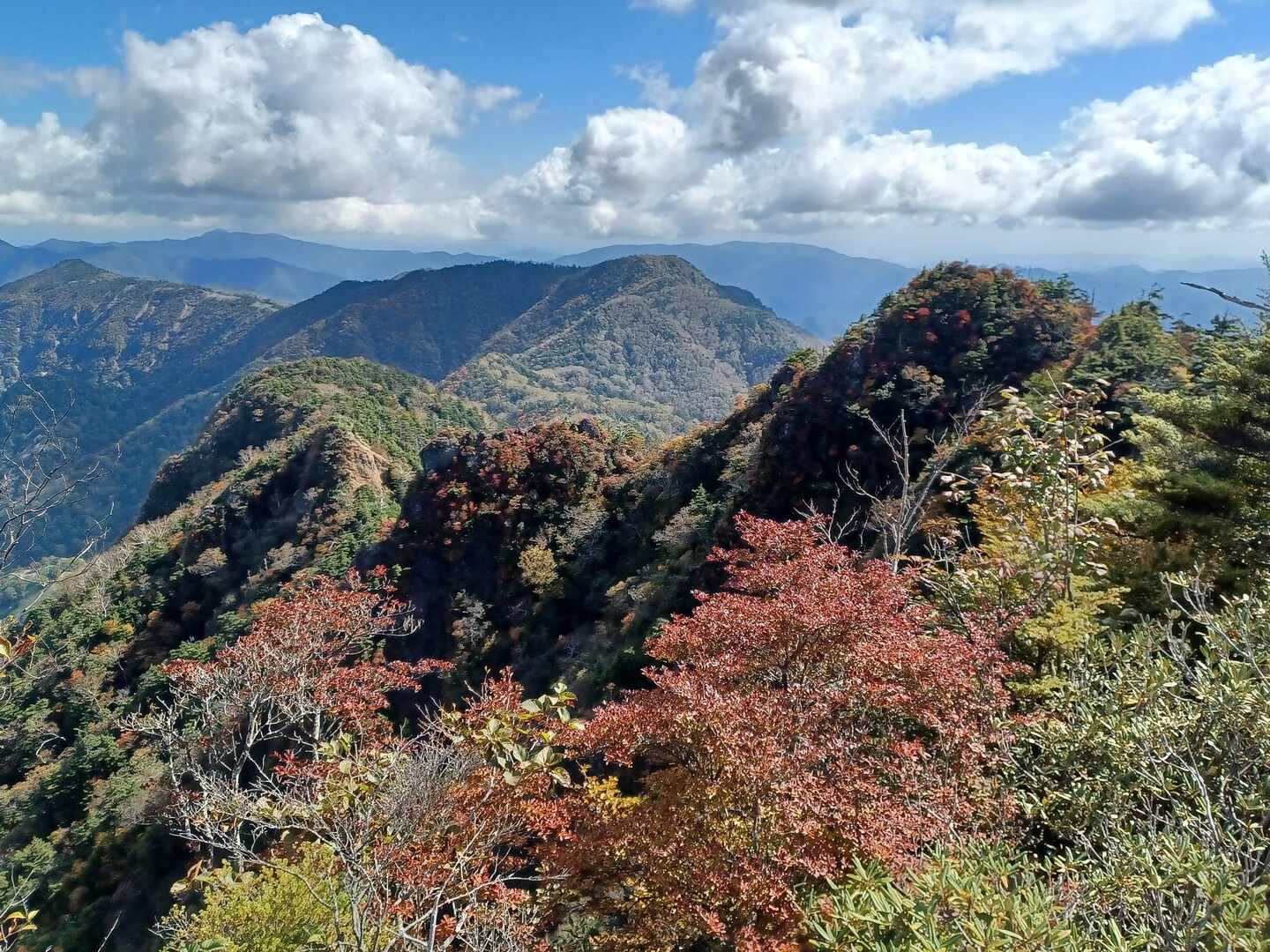 紅葉は1900m以上がいい感じ / Windyさんのモーメント | YAMAP / ヤマップ