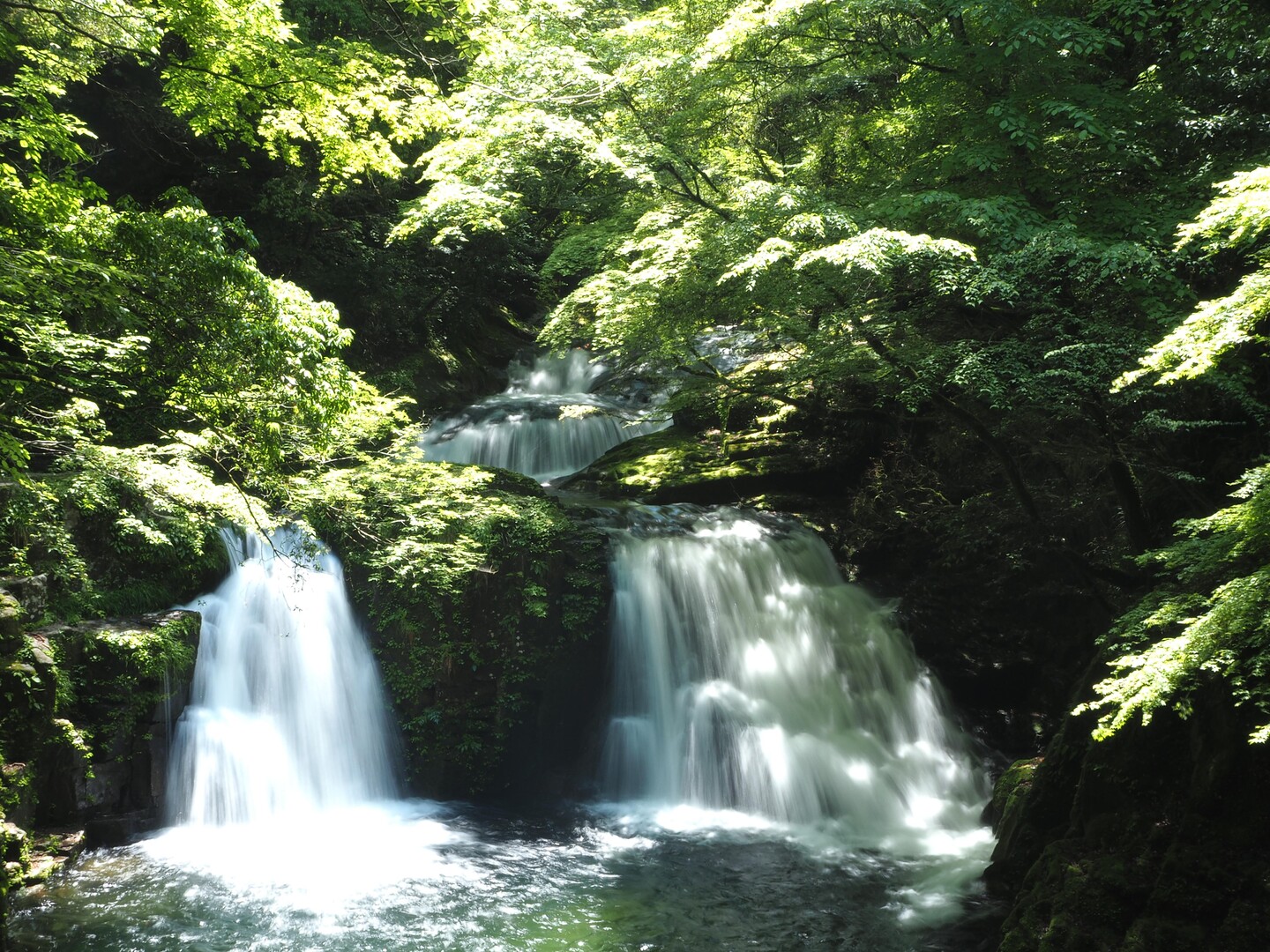 赤目四十八滝 / rieoさんの長坂山・赤目四十八滝の活動データ | YAMAP / ヤマップ