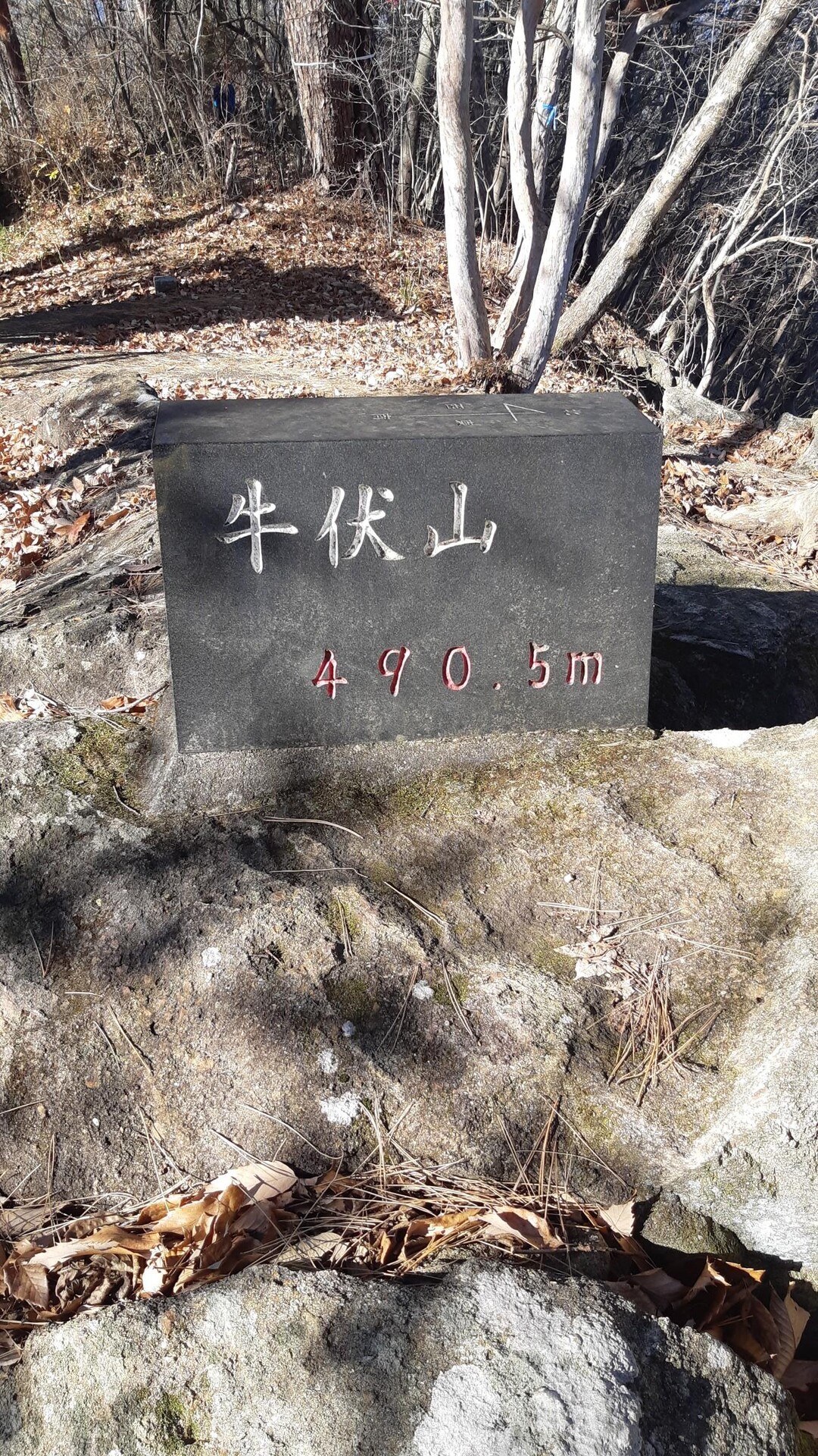 牛伏山☀ / dolopさんの牛伏山・城山の活動データ | YAMAP / ヤマップ