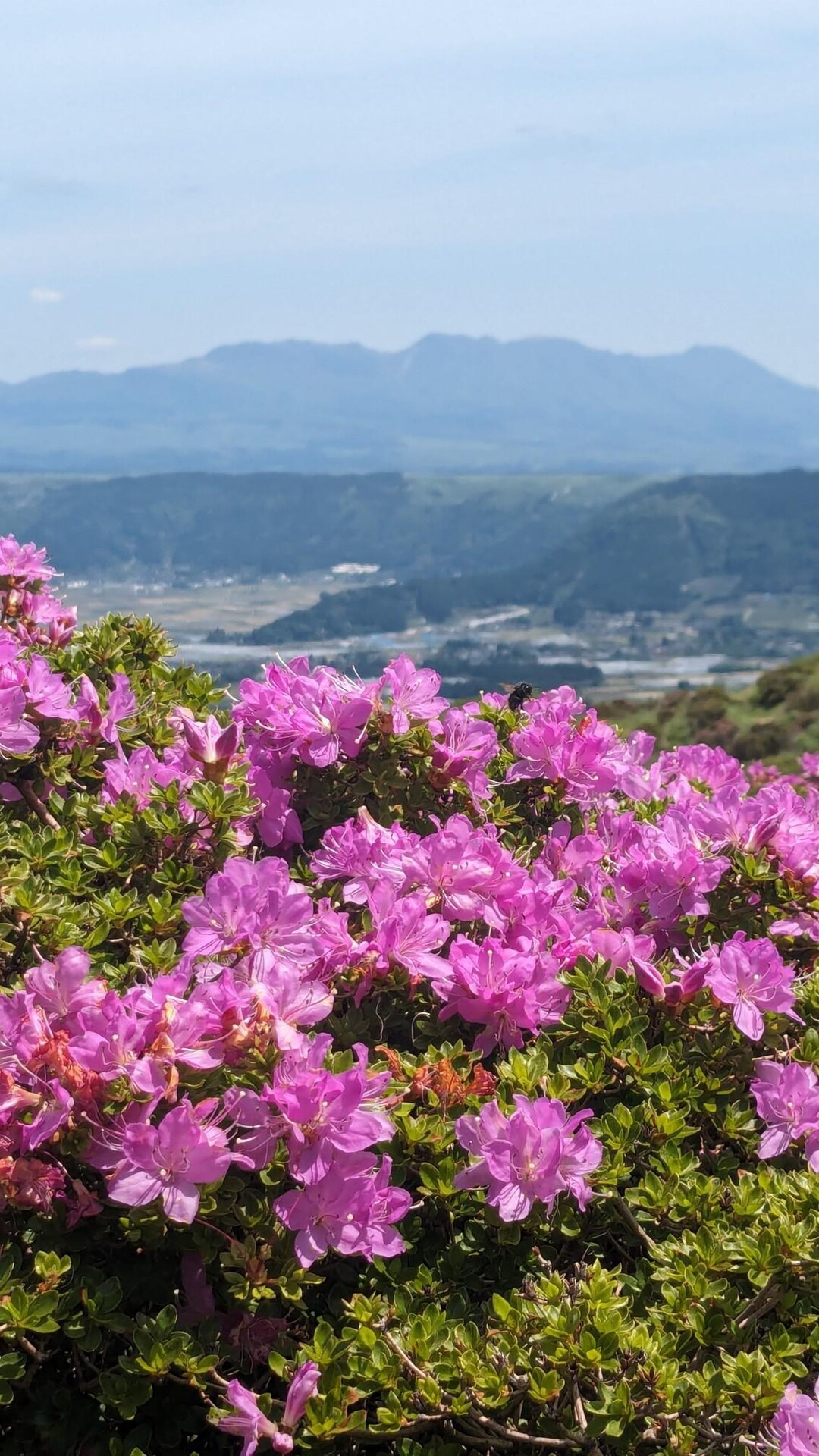 GW前足に怪我をし10針縫う羽目に 2日... / コータ67さんのモーメント | YAMAP / ヤマップ