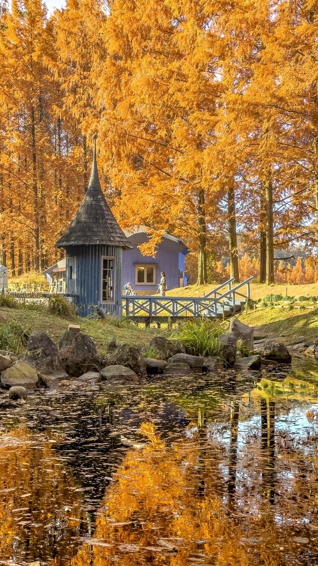 トーベ・ヤンソンあけぼの子供の森公園の紅... / RED TOMさんのモーメント | YAMAP / ヤマップ