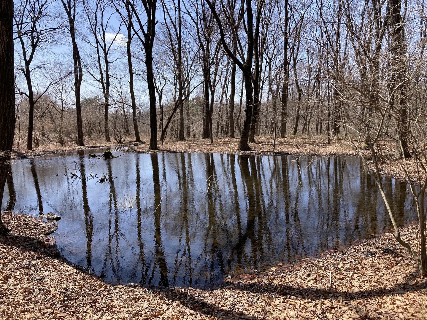 春を求めて赤城自然園② / Hana Hana さんのモーメント | YAMAP / ヤマップ