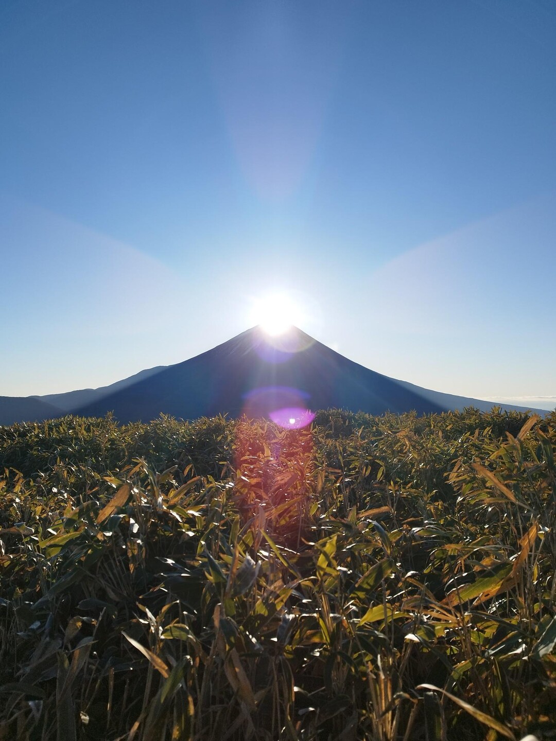 ダイヤ富士 / horitakaさんの毛無山・雨ヶ岳・竜ヶ岳の活動データ | YAMAP / ヤマップ