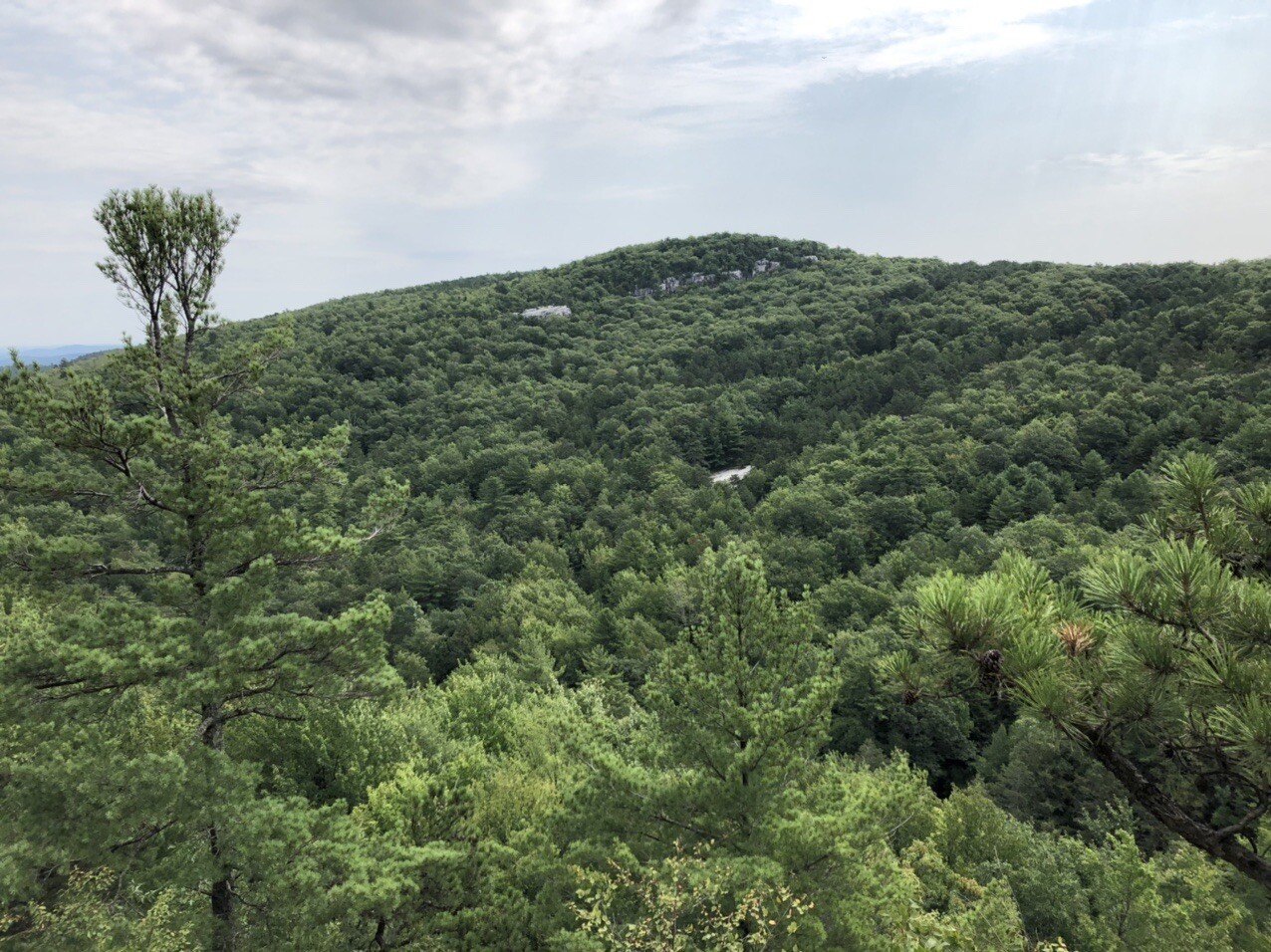High Peters Kill trail to Awosting Falls / Mt Adventureさんのミネワスカ・ステート保護区の活動日記 | YAMAP / ヤマップ