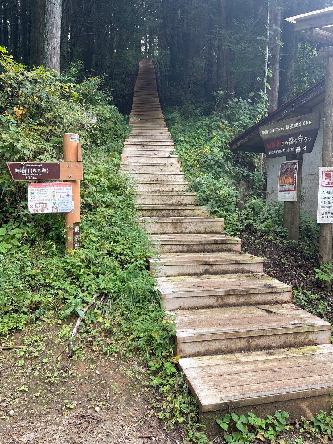 大蔵里山・大蔵里山（東峰）・醍醐丸・高岩山・陣馬山・南郷山・富士小屋山 / hal0330さんの高尾山・陣馬山・景信山の活動データ | YAMAP / ヤマップ