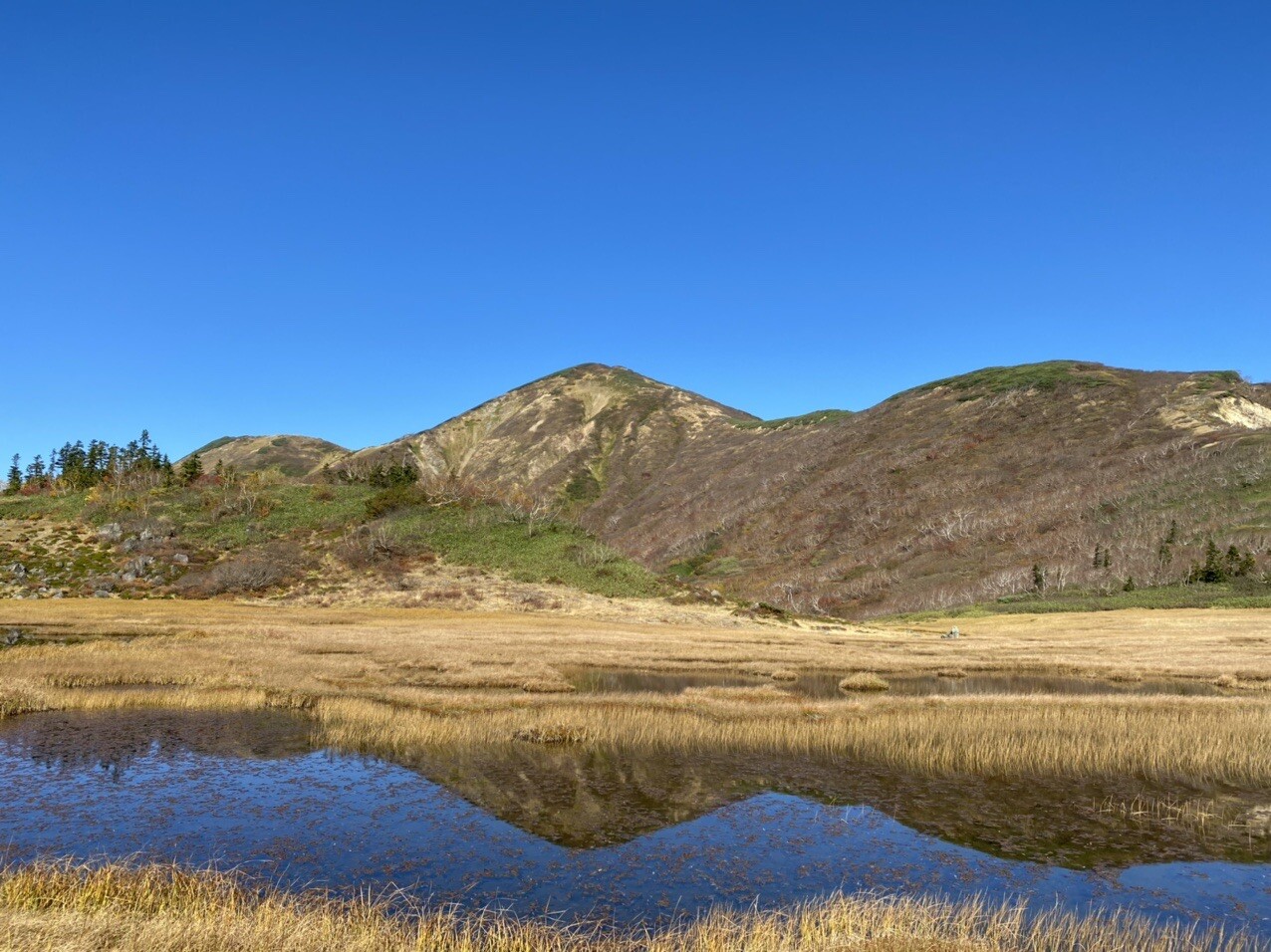 火打山 / junyaさんの妙高山・火打山の活動データ | YAMAP / ヤマップ