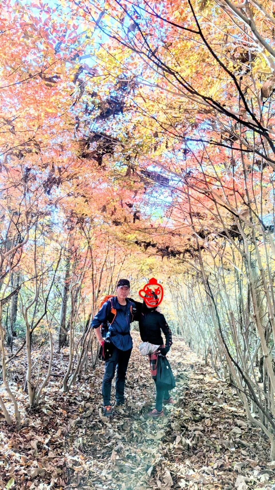 安芸アルプス縦走途中に、柴狩👿に会う…... / TENGU 柴さんのモーメント | YAMAP / ヤマップ