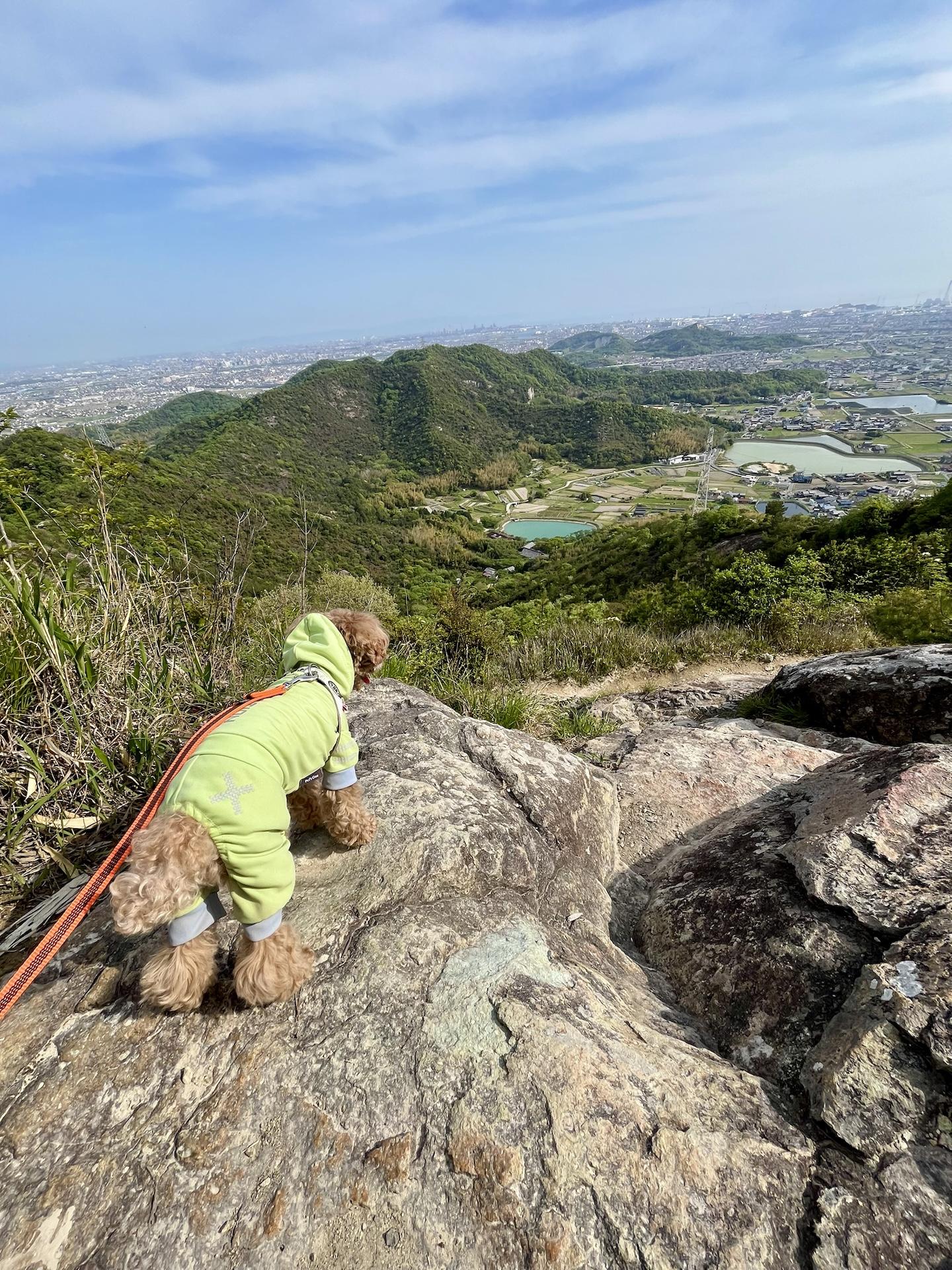 高御位山🐶with my dog / Jo999さんの高御位山・播磨アルプスの活動データ | YAMAP / ヤマップ