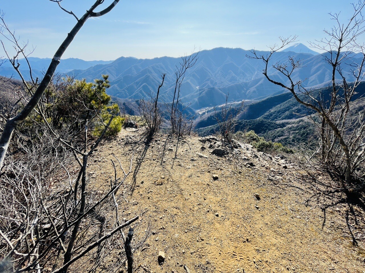 otouさんの投稿したフィールドメモ | YAMAP / ヤマップ
