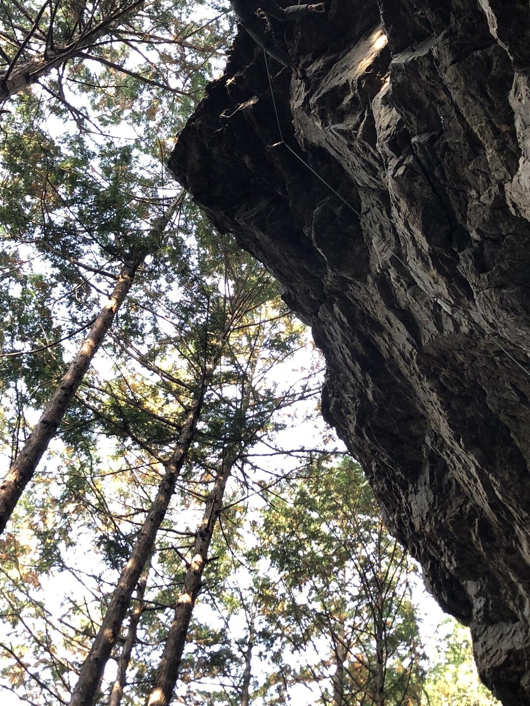 北川クライミング Ver.3 先週に引... / 山ザルさんのモーメント | YAMAP / ヤマップ