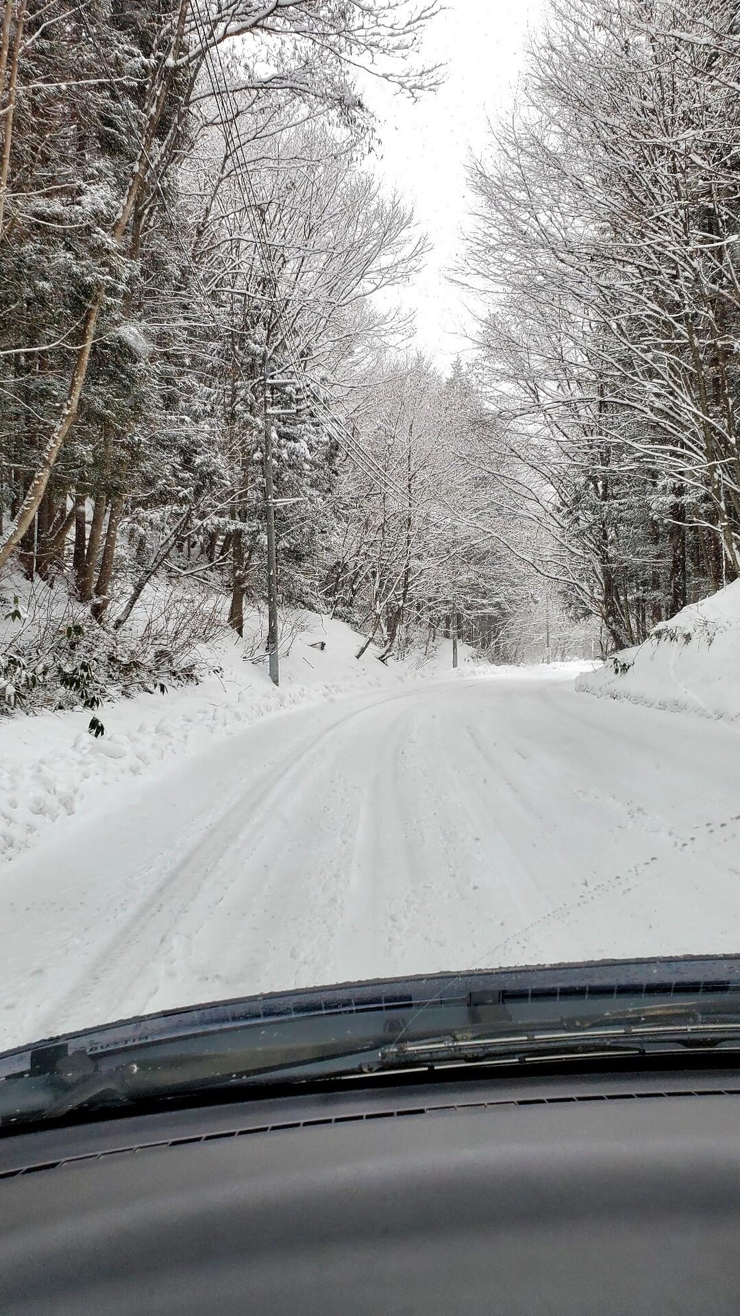 たんばらスキーパーク 今日の天気は☃️ ... / こばさんのモーメント | YAMAP / ヤマップ
