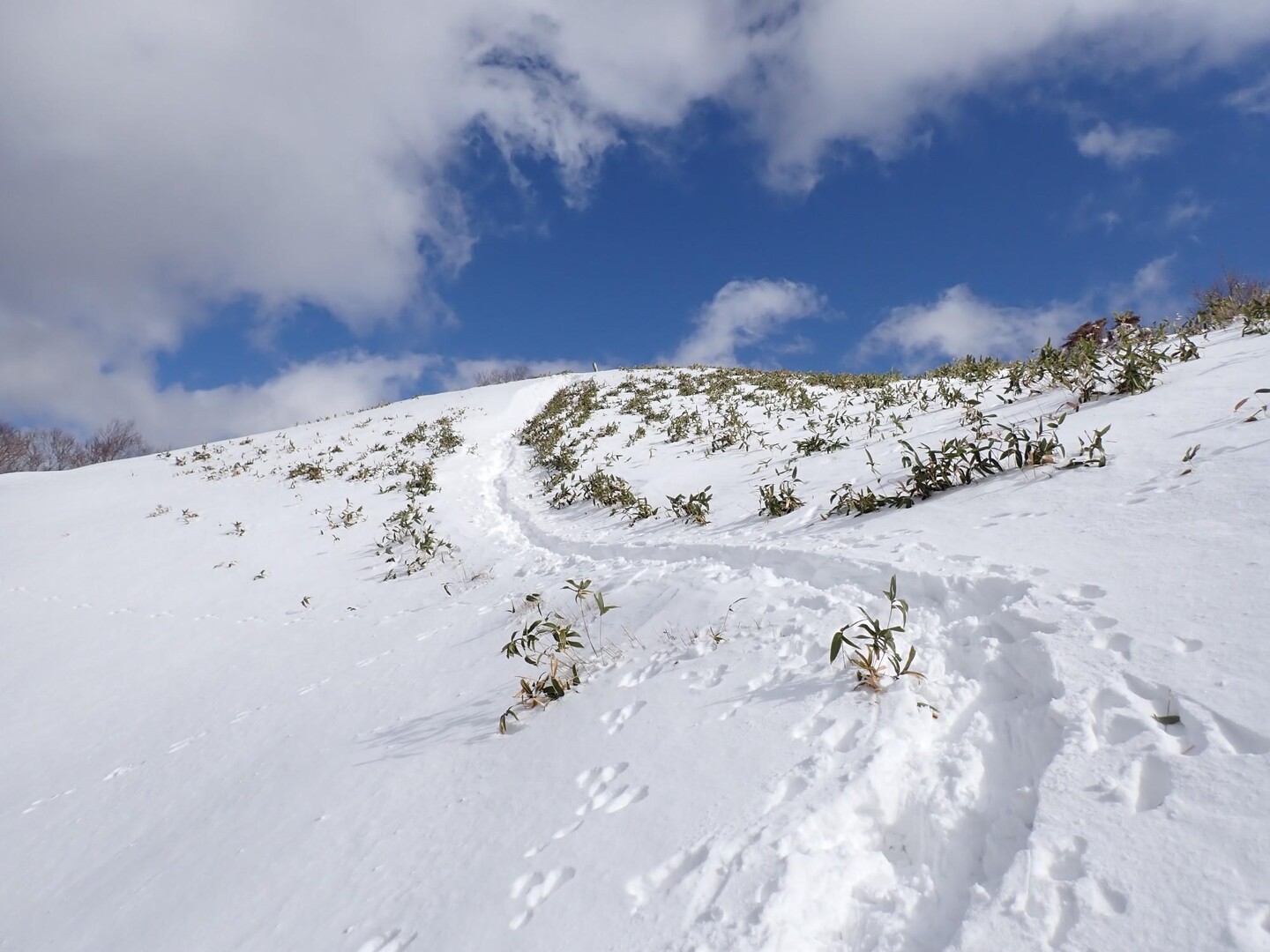 寒風山へ / 文さんの笹ヶ峰・寒風山・平家平の活動データ | YAMAP / ヤマップ