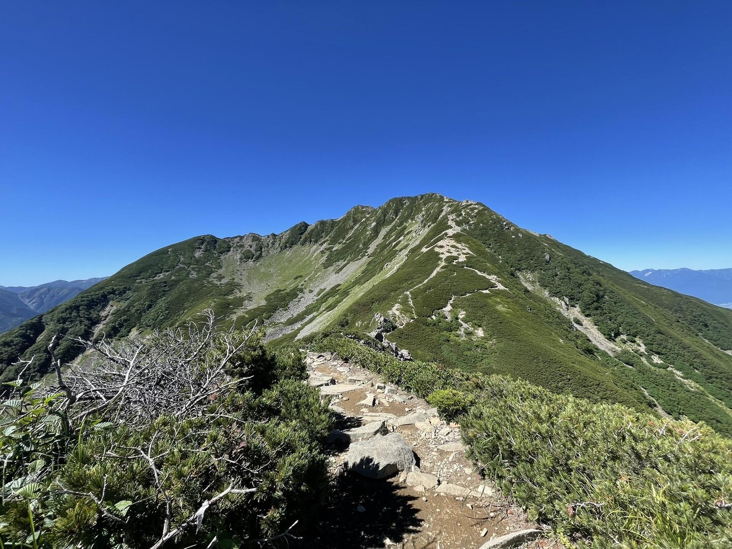 山の日に『仙丈ヶ岳』2週連続百名山！ / koma koma02さんの仙丈ヶ岳・伊那荒倉岳の活動データ | YAMAP / ヤマップ
