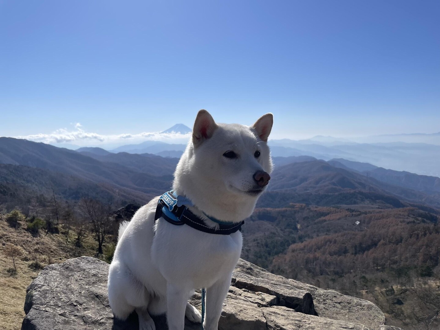大菩薩嶺 / HAKU&NAOさんの大菩薩嶺・鶏冠山・大マテイ山の活動データ | YAMAP / ヤマップ