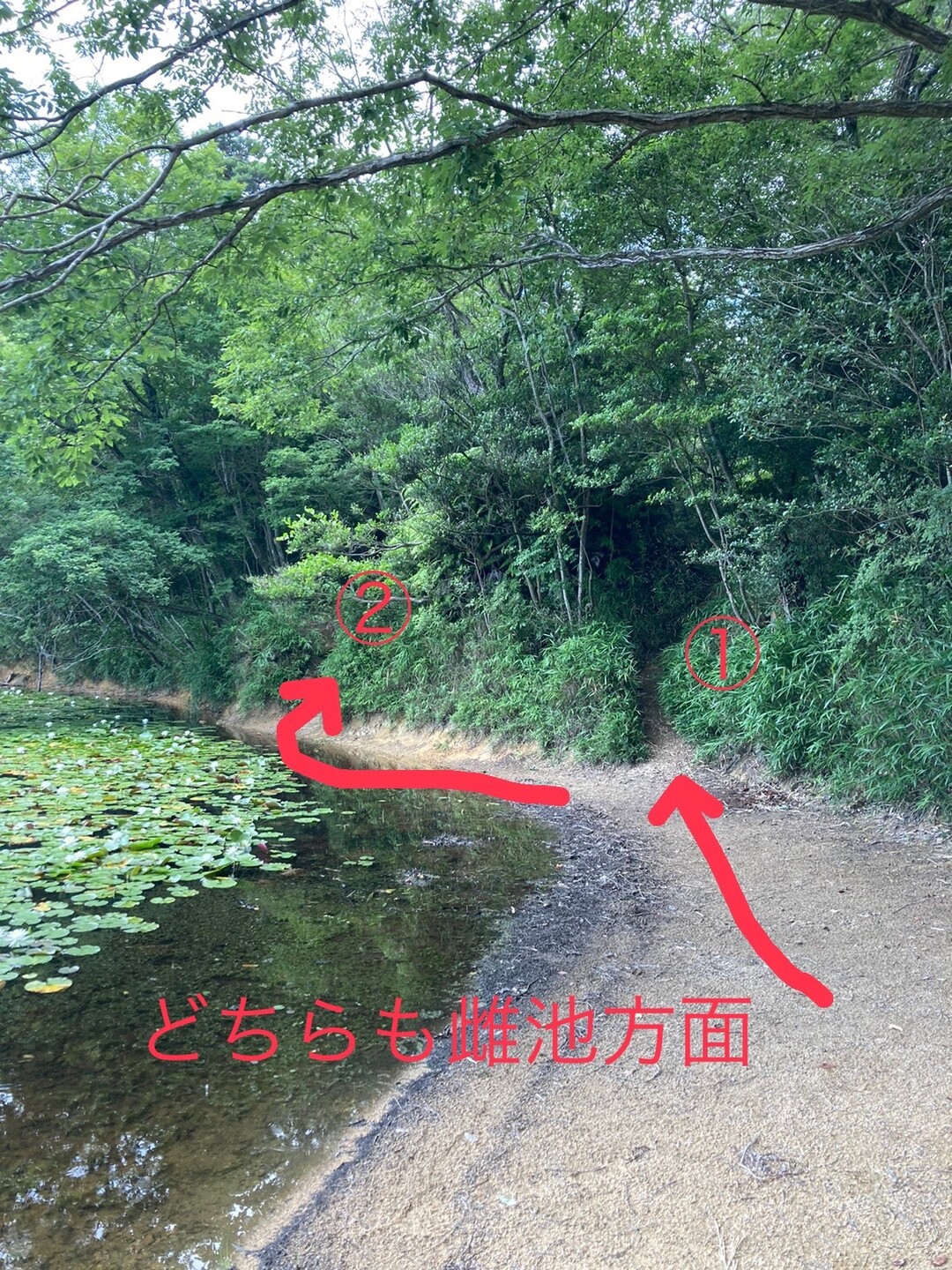 ERlii*さんの投稿したフィールドメモ | YAMAP / ヤマップ