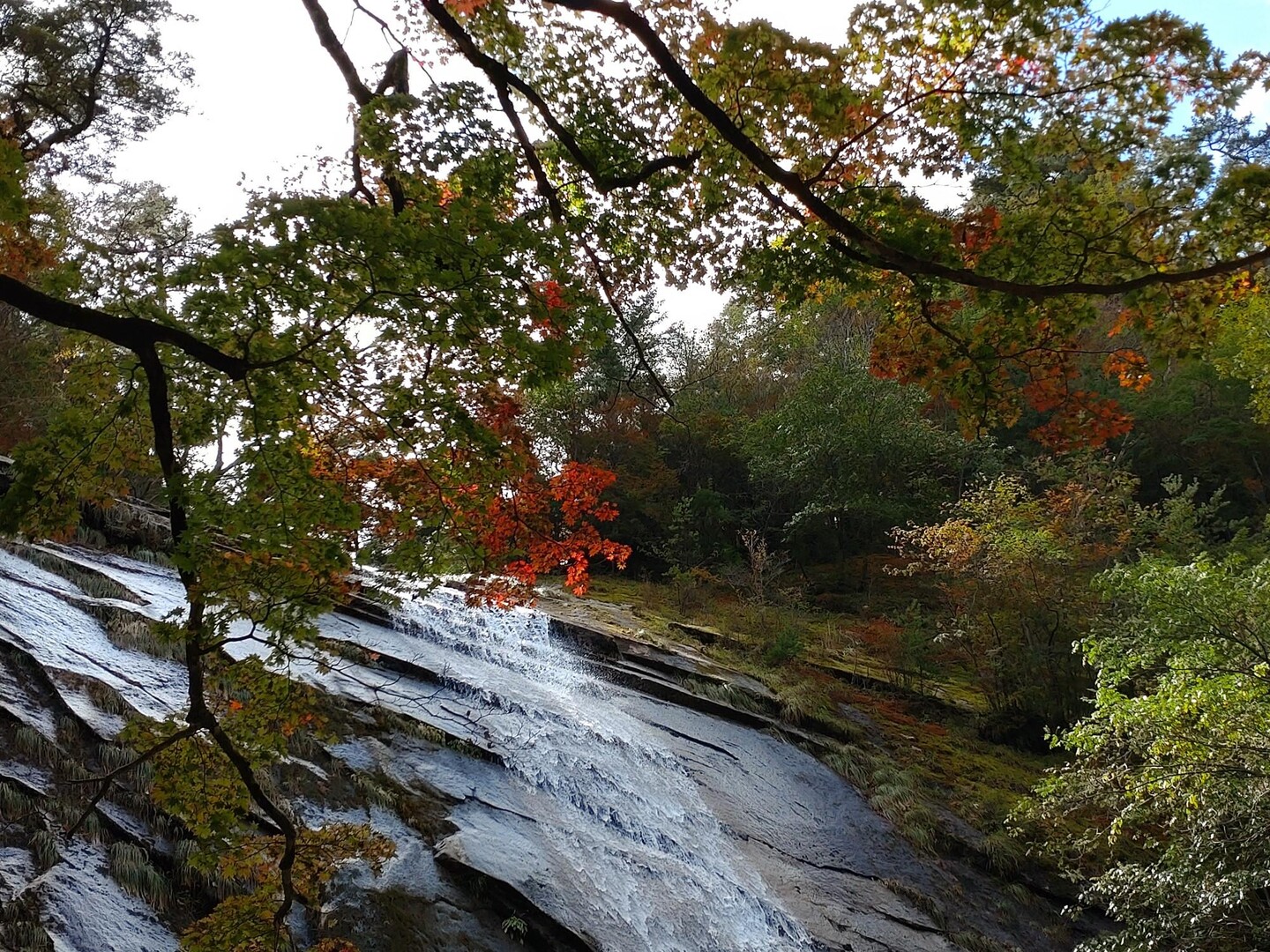 台風後の状況（中瀬松谷～バイパス～もちだ谷） / migiponさんの大崩山・五葉岳・新百姓山の活動データ | YAMAP / ヤマップ