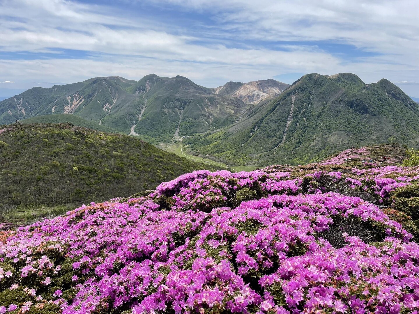 平治岳🌸最短ルート / moco🐾さんの九重山（久住山）・大船山・星生山の活動データ | YAMAP / ヤマップ