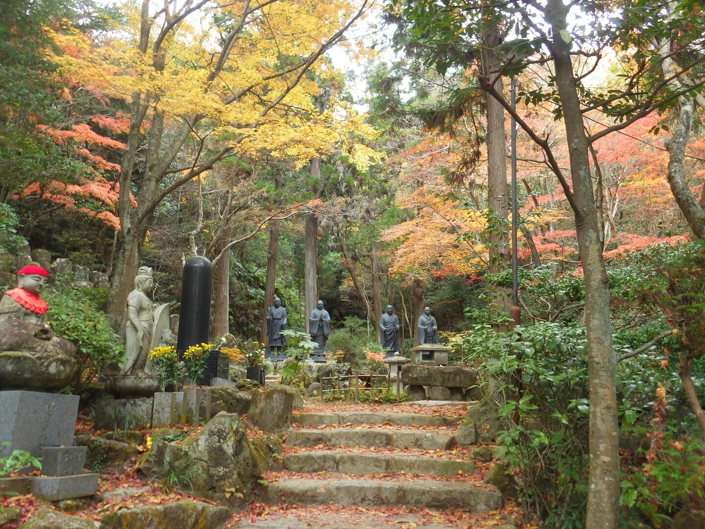 高峠山:237m・宗箇山:356m・大原山:224m / 山遊美さんの広島南アルプス（武田山・三滝山・鈴ヶ峰）の活動データ | YAMAP / ヤマップ