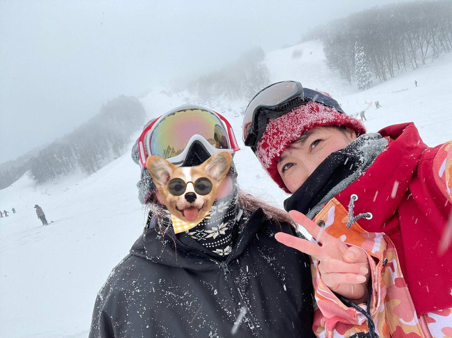 今年初スノボ🏂に行って来ました⛄️ 新... / kyo chanさんのモーメント | YAMAP / ヤマップ