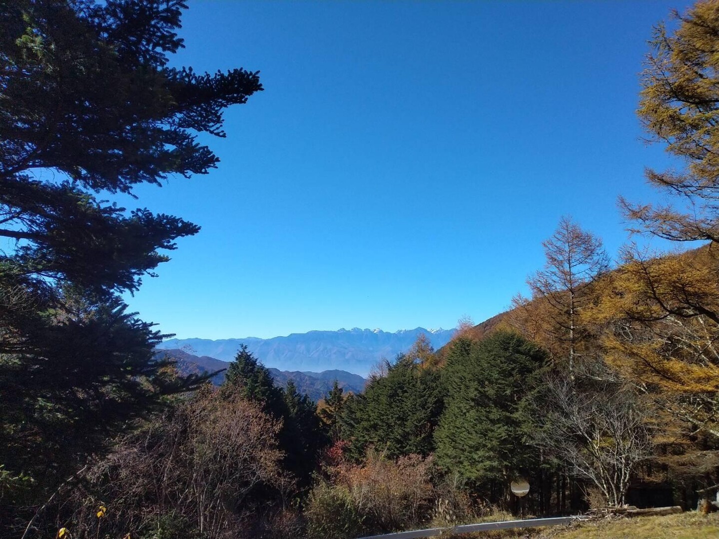 11/9 長野は快晴🥰長野の家の近くか... / Yoshiさんのモーメント | YAMAP / ヤマップ
