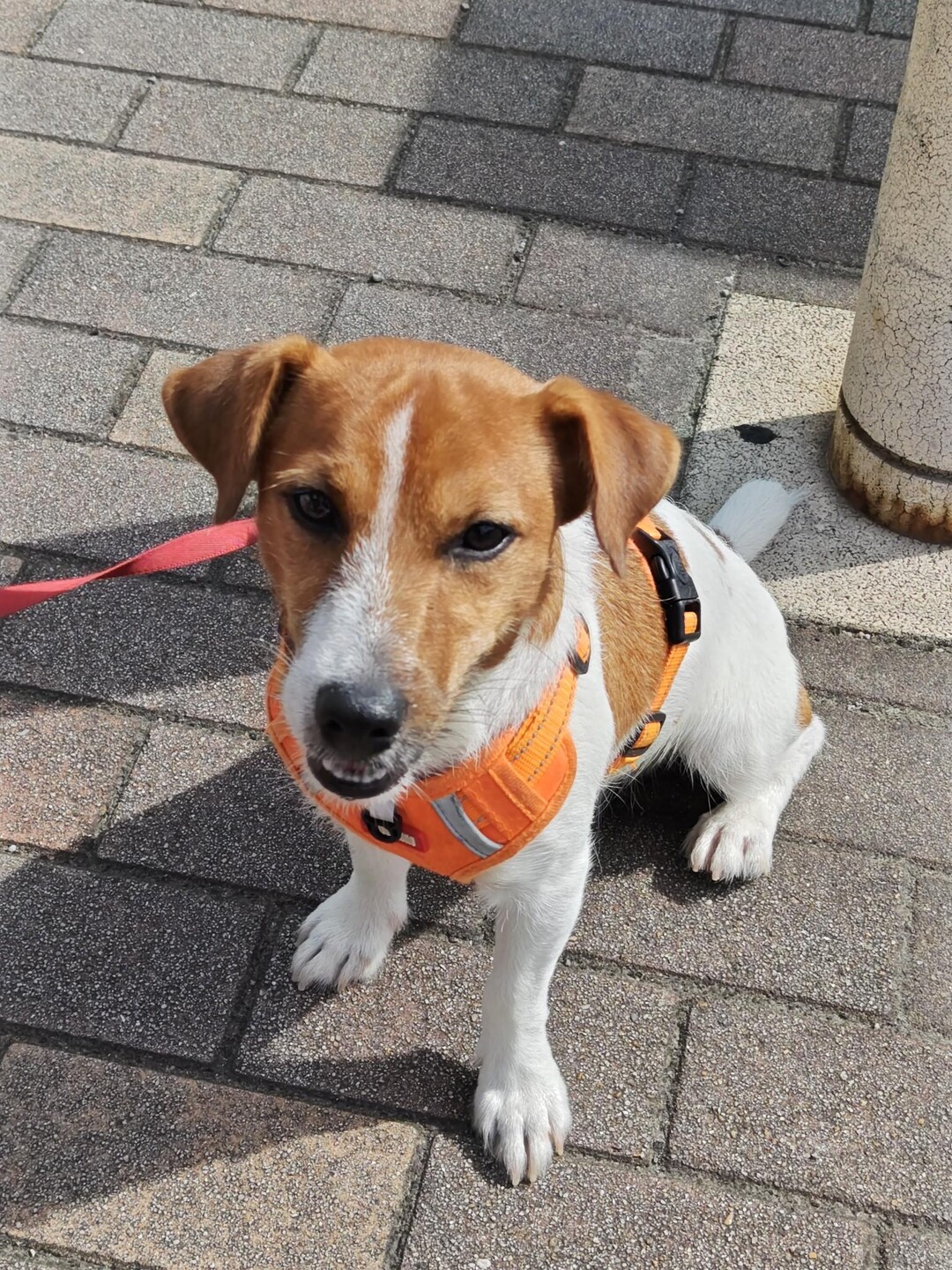 91😆愛宕山 / megさんの能古島の活動データ | YAMAP / ヤマップ