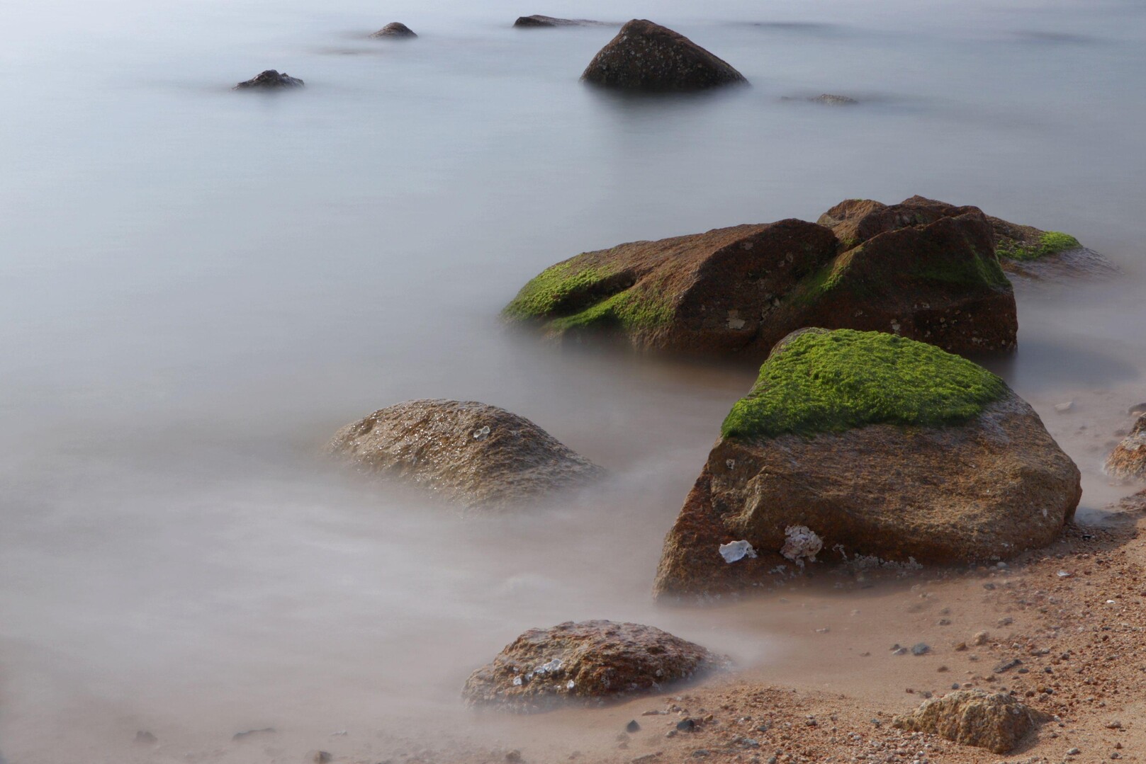 王子が岳 - いつも以上に跳んでみた / R1さんの王子が岳・神登山・臥竜山の活動日記 | YAMAP / ヤマップ