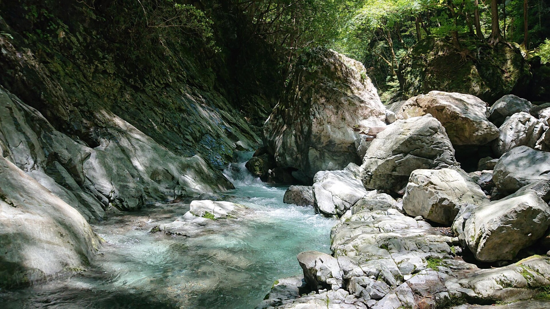 ユル沢神童子谷へ / t-setoさんの八経ヶ岳の活動データ | YAMAP / ヤマップ