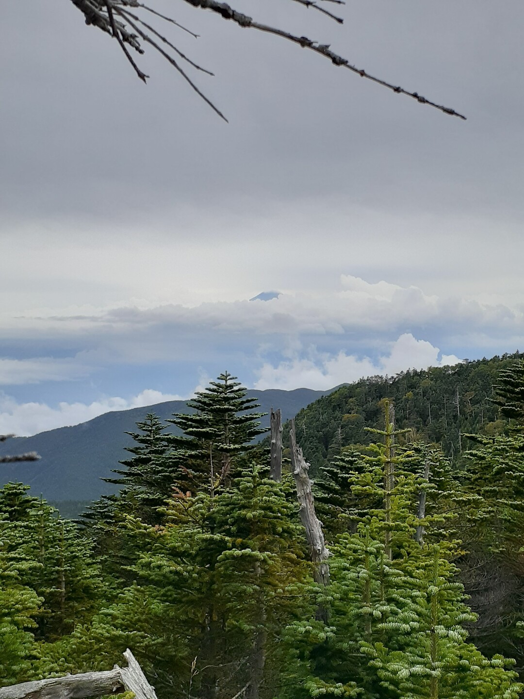 ko usさんの投稿したフィールドメモ | YAMAP / ヤマップ