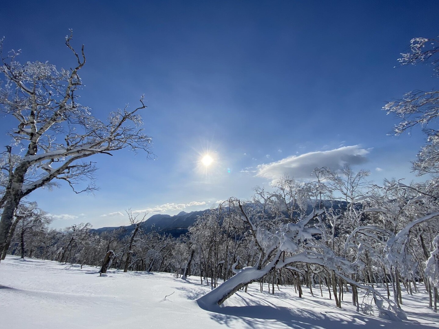 賑やか瑠辺斯岳 / Masaさんの瑠辺斯岳の活動データ | YAMAP / ヤマップ
