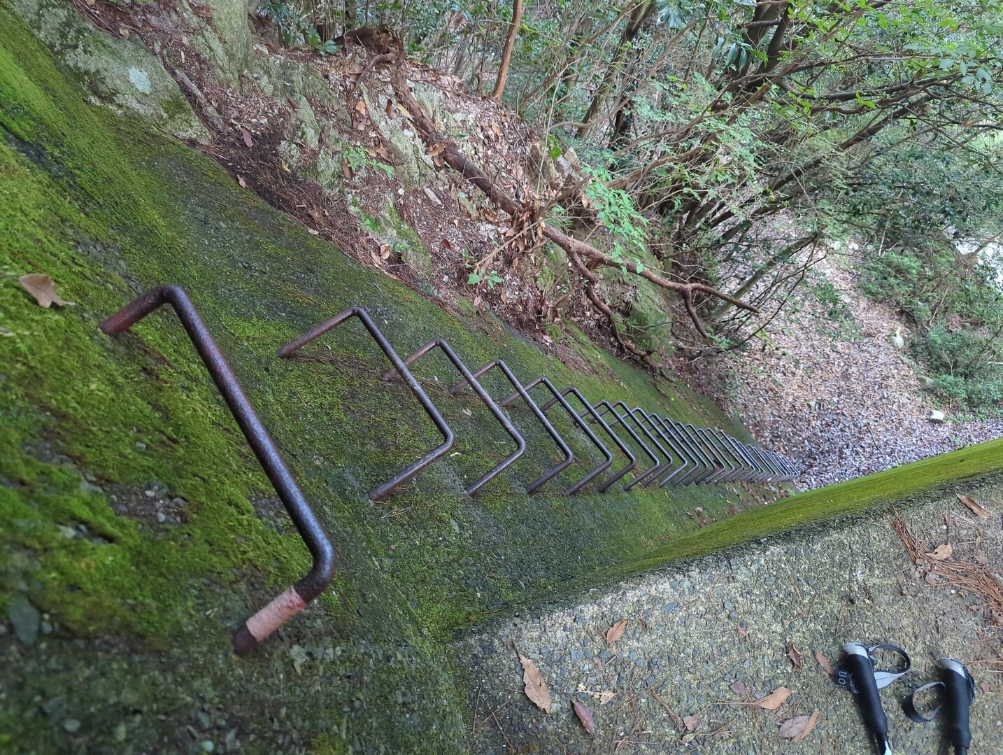 solaさんの投稿したフィールドメモ | YAMAP / ヤマップ