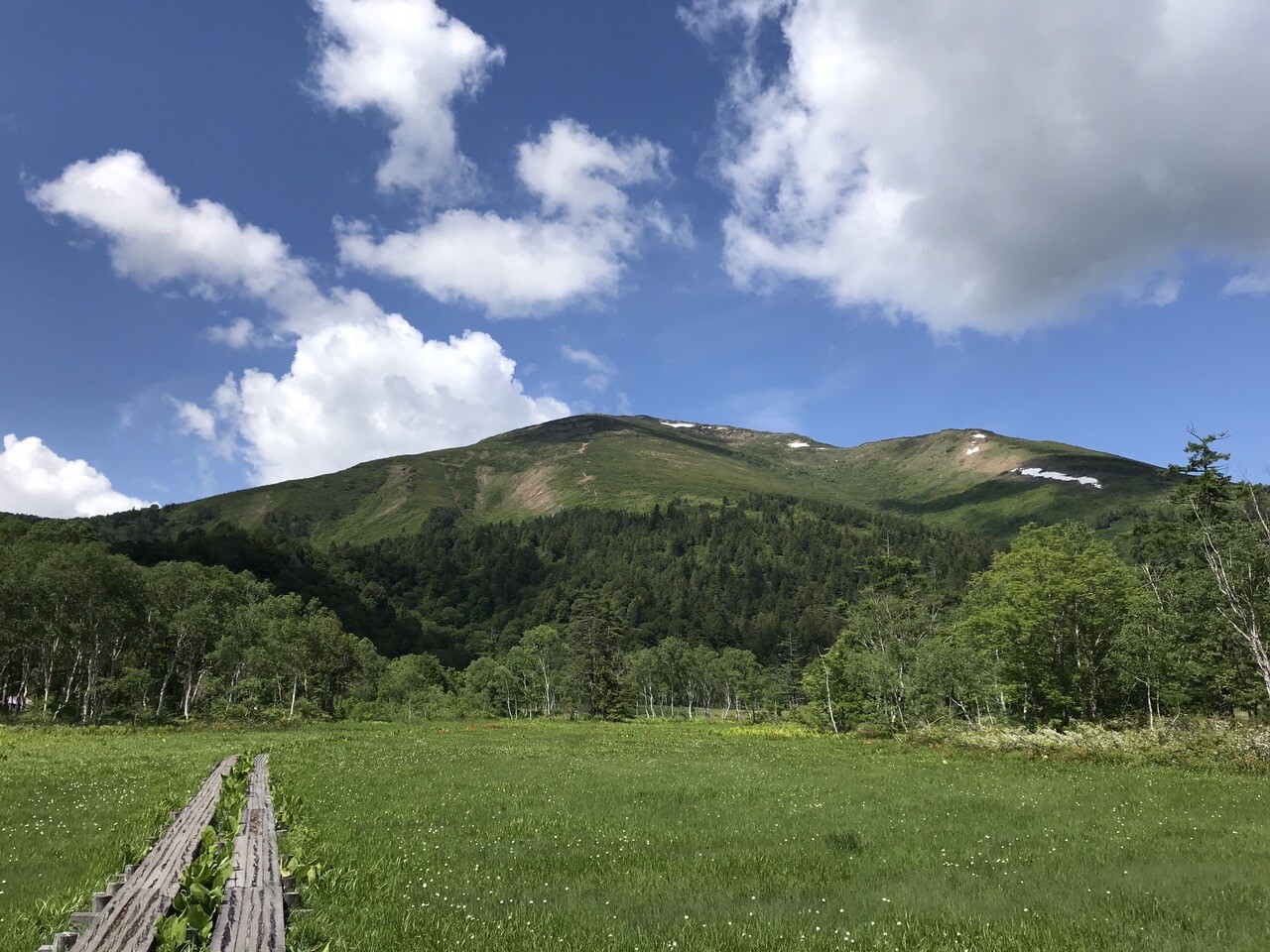 至仏山に登るつもりが！、、、 / medamonさんの尾瀬・至仏山・悪沢岳・笠ヶ岳の活動データ | YAMAP / ヤマップ
