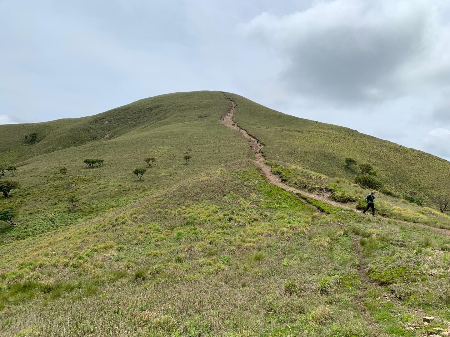 竜ヶ岳1099.6m / ふじやんさんの竜ヶ岳の活動データ | YAMAP / ヤマップ