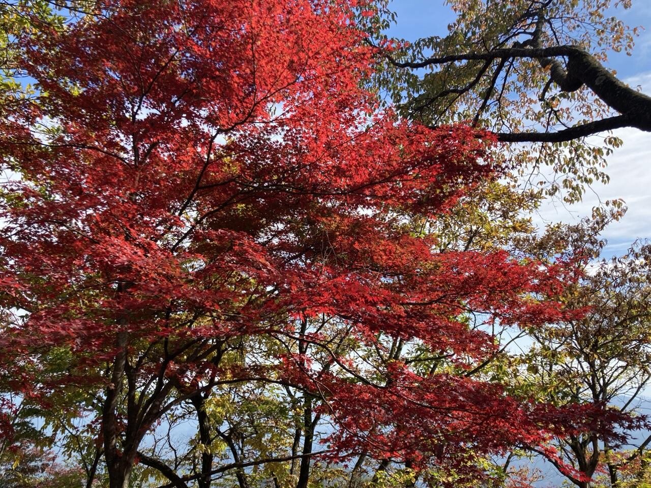 Saoのページ | YAMAP / ヤマップ