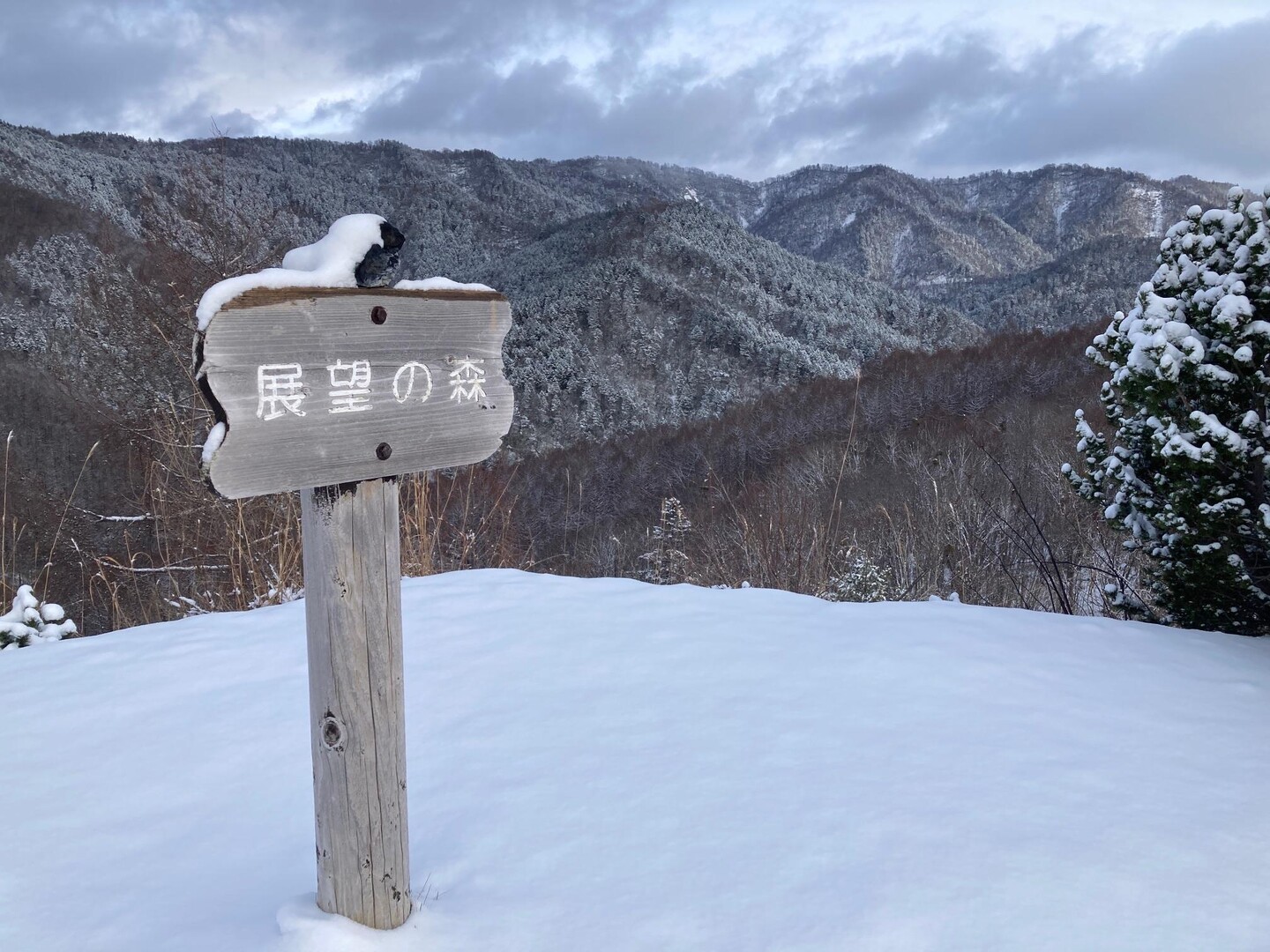 ズリ山 / 2525さんの幌向岳・ズリ山の活動データ | YAMAP / ヤマップ