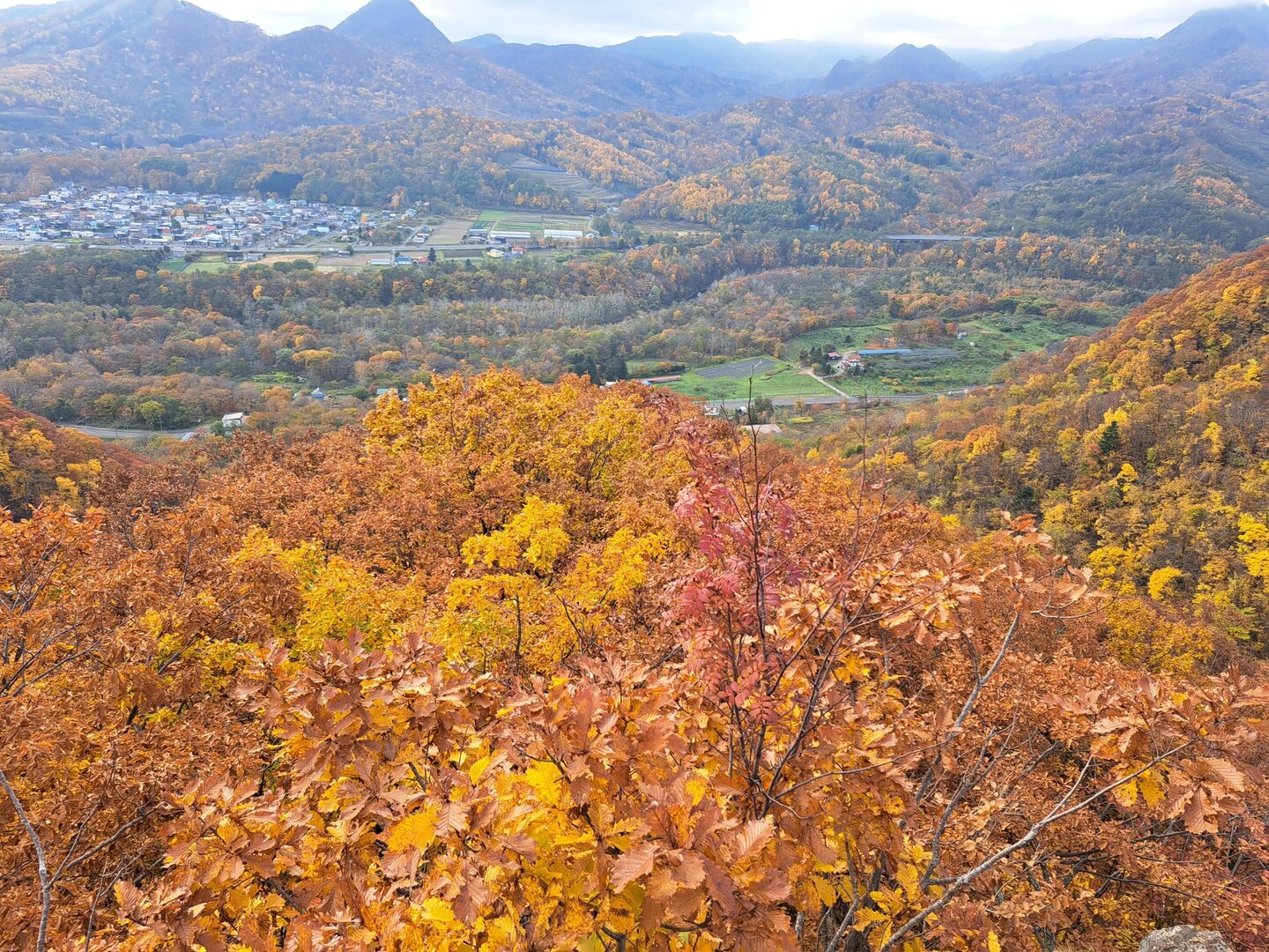八剣山⇒猫耳山 / nomさんの観音岩山（八剣山）の活動データ | YAMAP / ヤマップ