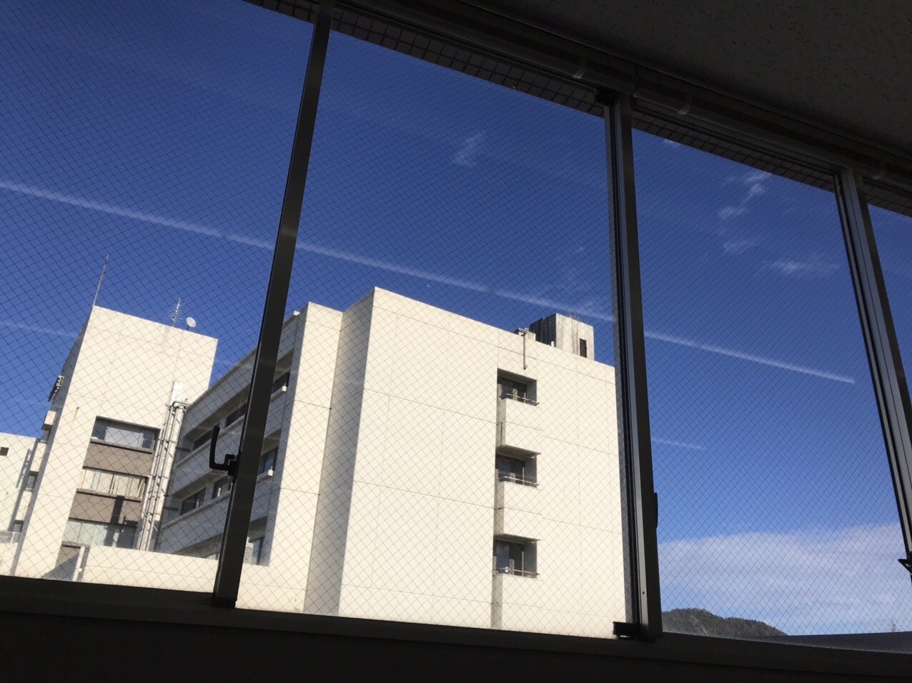 雲ひとつない青空。 山は気持ちいいだろう... / テラさんのモーメント | YAMAP / ヤマップ