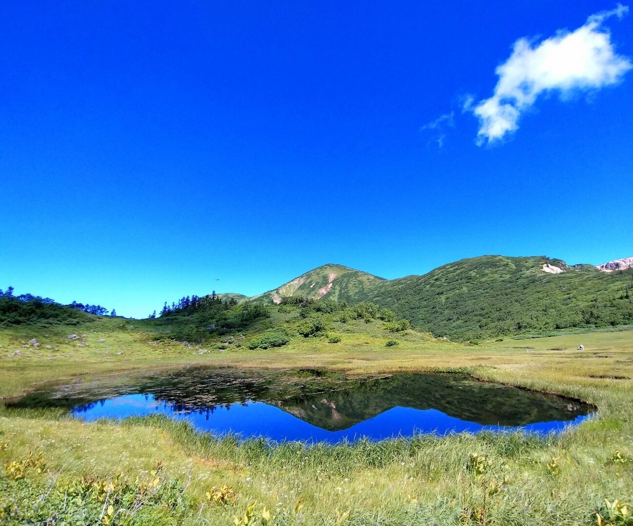 8/11山の日🎌火打山 / micoさんの妙高山・火打山の活動データ | YAMAP / ヤマップ