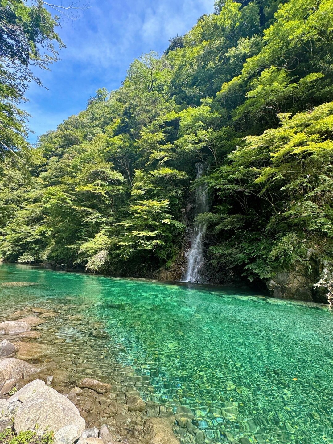 ユーシン渓谷🩵 / Nmamaさんの塔ノ岳・丹沢山・蛭ヶ岳の活動日記 | YAMAP / ヤマップ