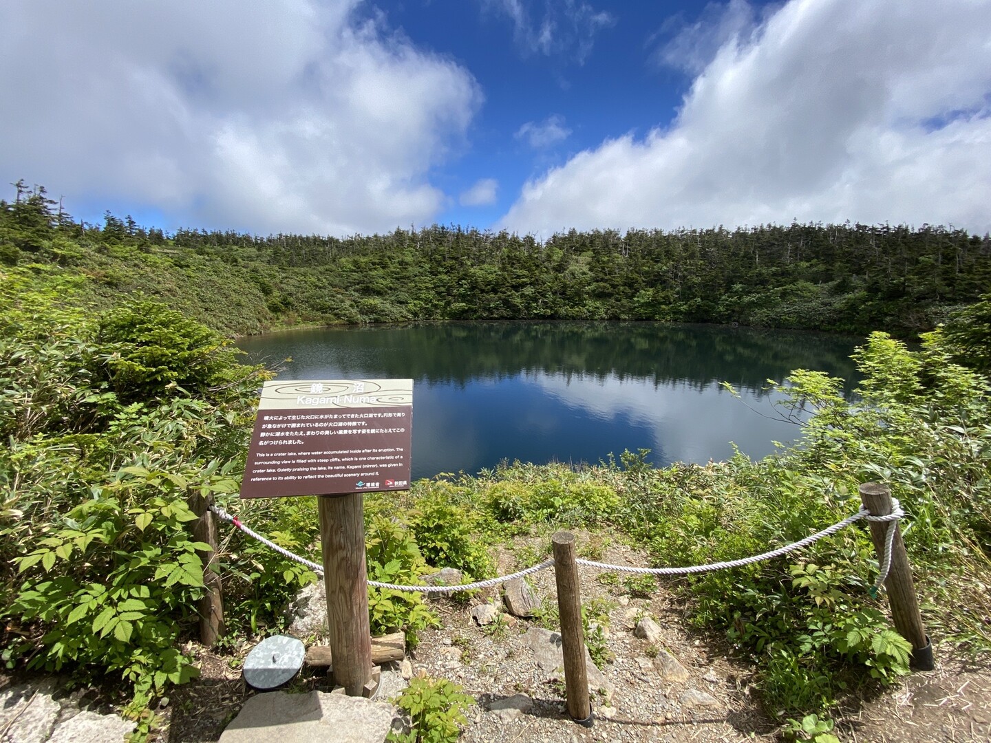 ドラゴン・アイは跡形もなく。🥲 八幡... / ニコどんさんのモーメント | YAMAP / ヤマップ