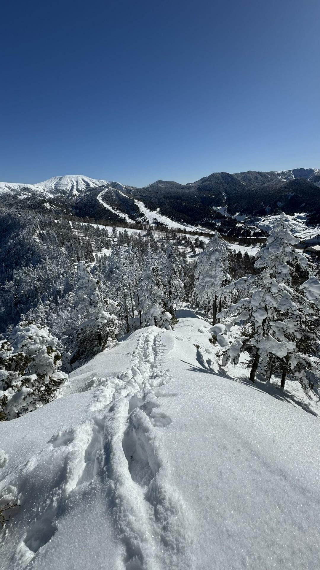 万座山スキー / dragonさんの草津白根山・湯釜の活動データ | YAMAP / ヤマップ