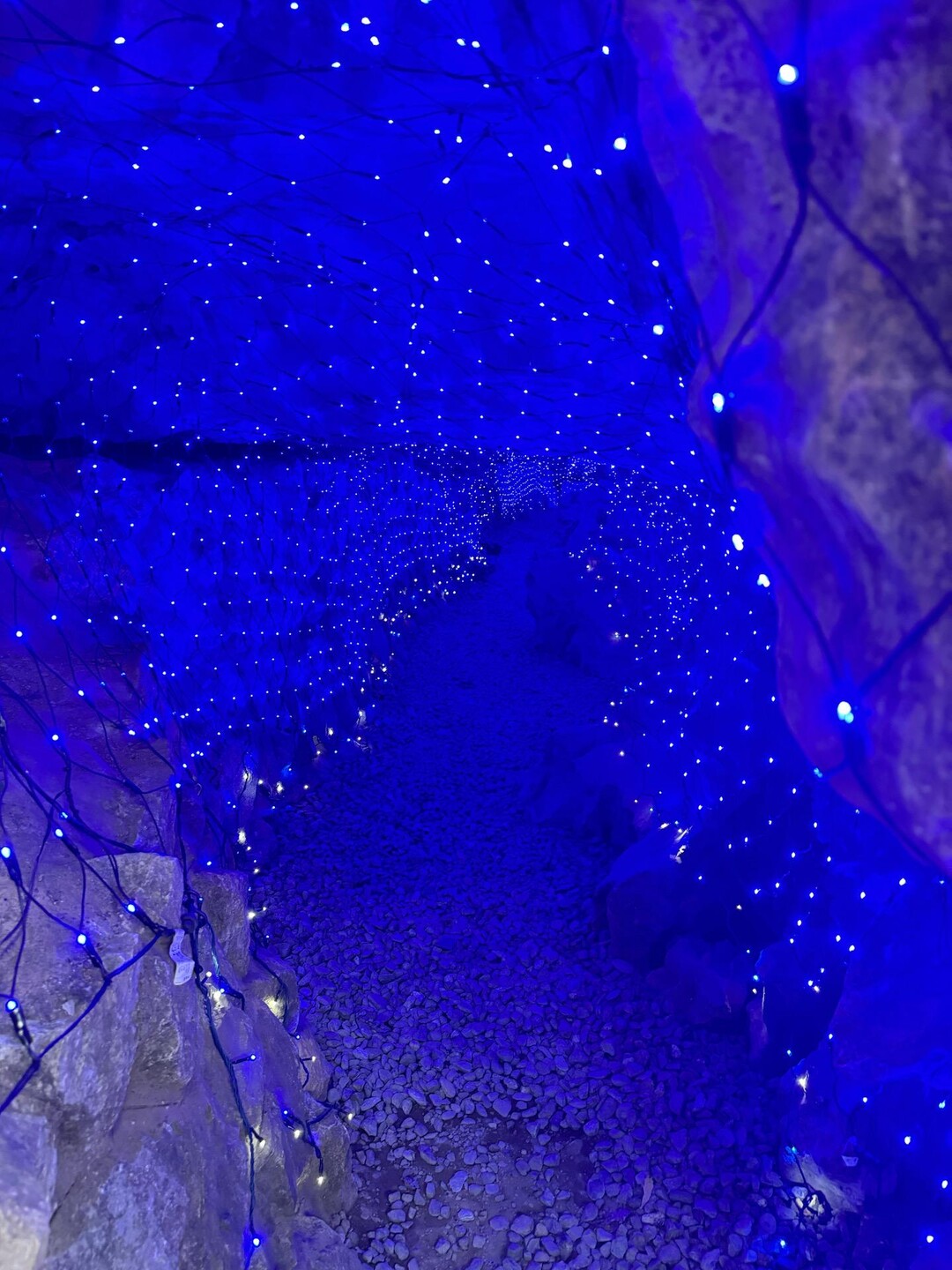 竜ヶ石山 / syanさんの富幕山・尉ヶ峰・竜ヶ石山の活動日記 | YAMAP / ヤマップ