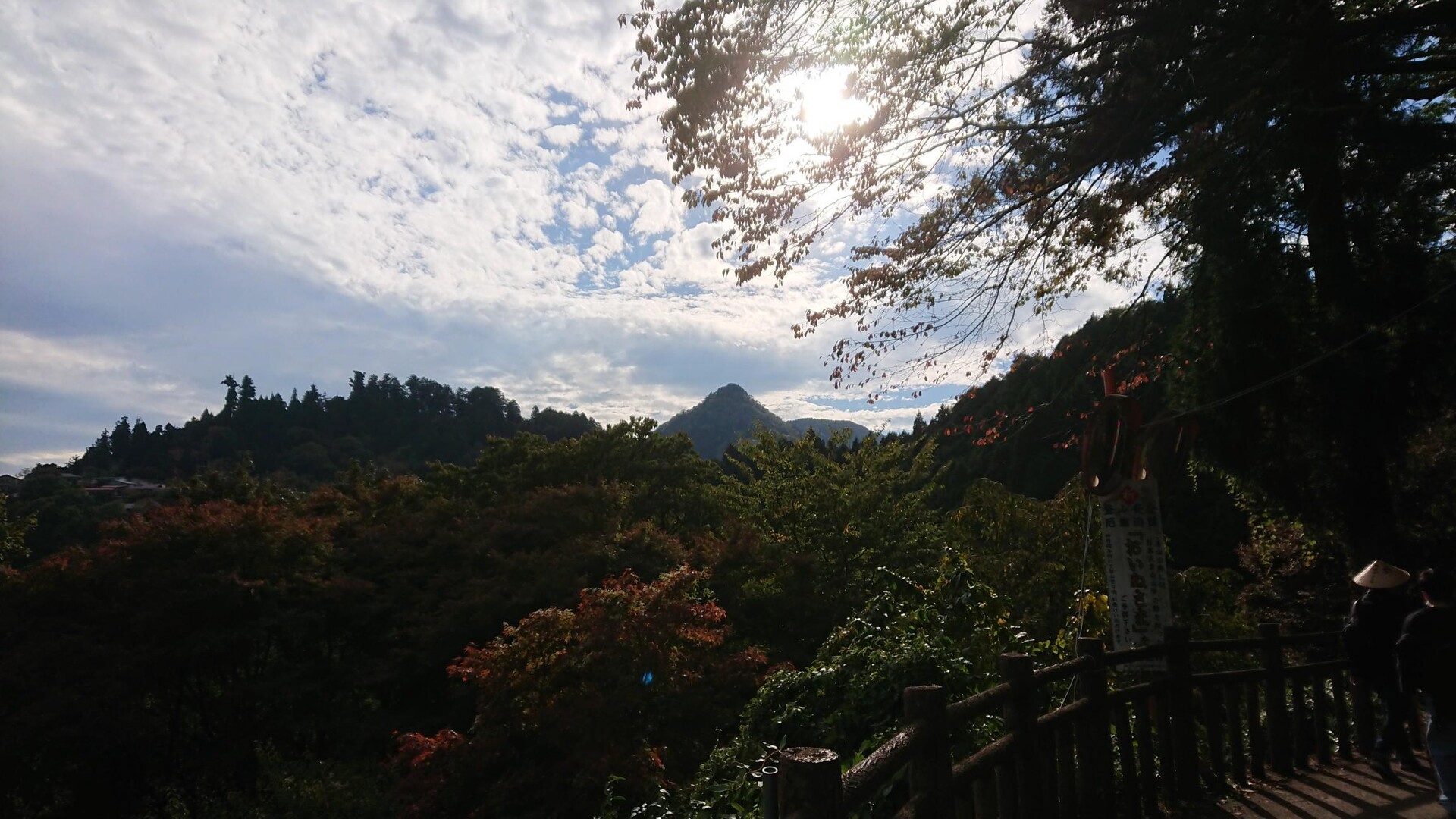 リハビリ御岳山・奥の院峰・鍋割山 / kouさんの大岳山・御岳山・御前山の活動データ | YAMAP / ヤマップ