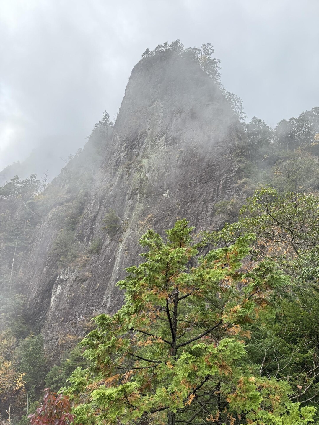 地蔵岳・大天井岳 / Meiさんの雪彦山の活動データ | YAMAP / ヤマップ