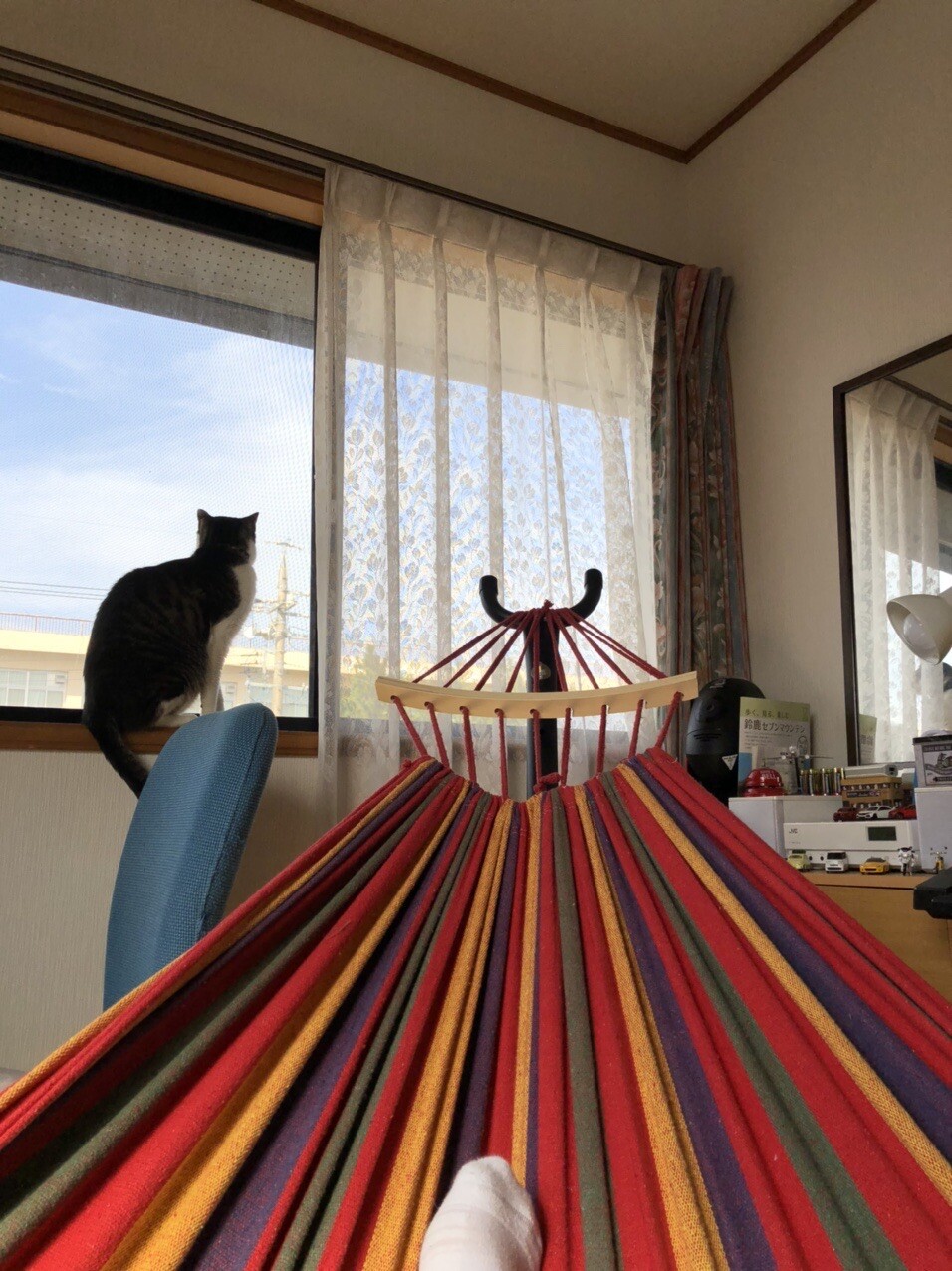 予想に反して晴れた☀️ でも驚くほどに風... / namisuke🐝さんのモーメント | YAMAP / ヤマップ